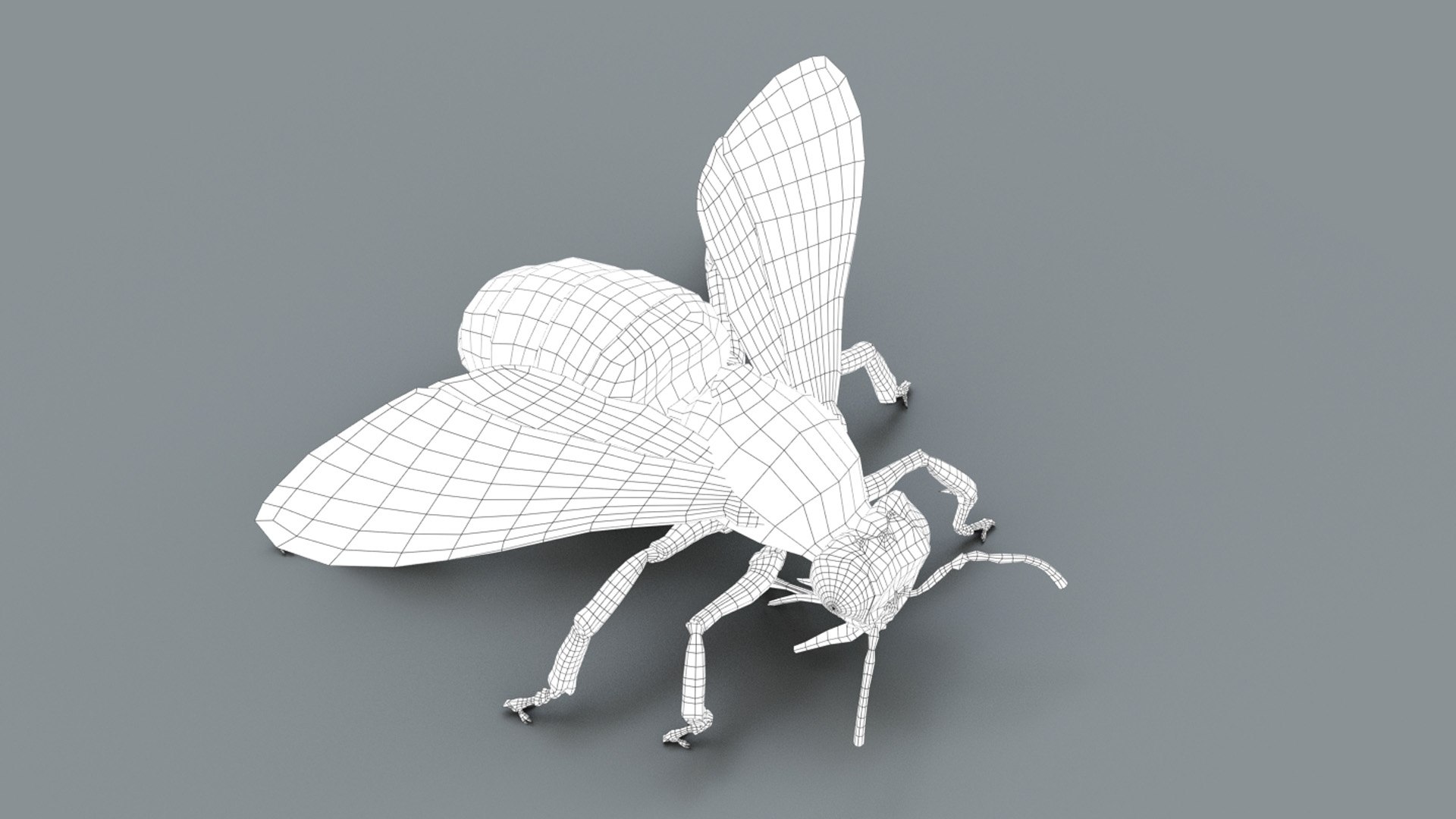 3D HoneyBee XGEN RIG - TurboSquid 2181572