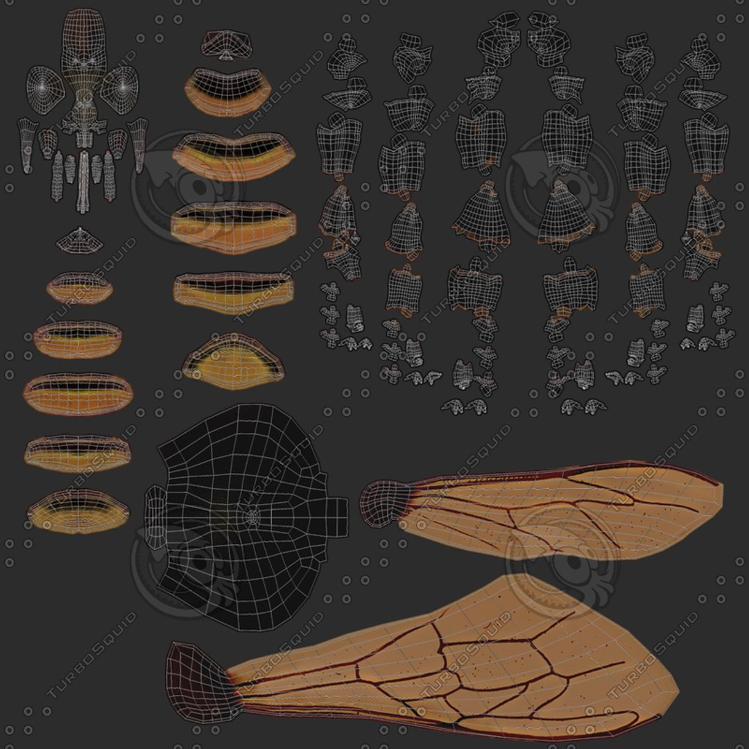 3D HoneyBee XGEN RIG - TurboSquid 2181572