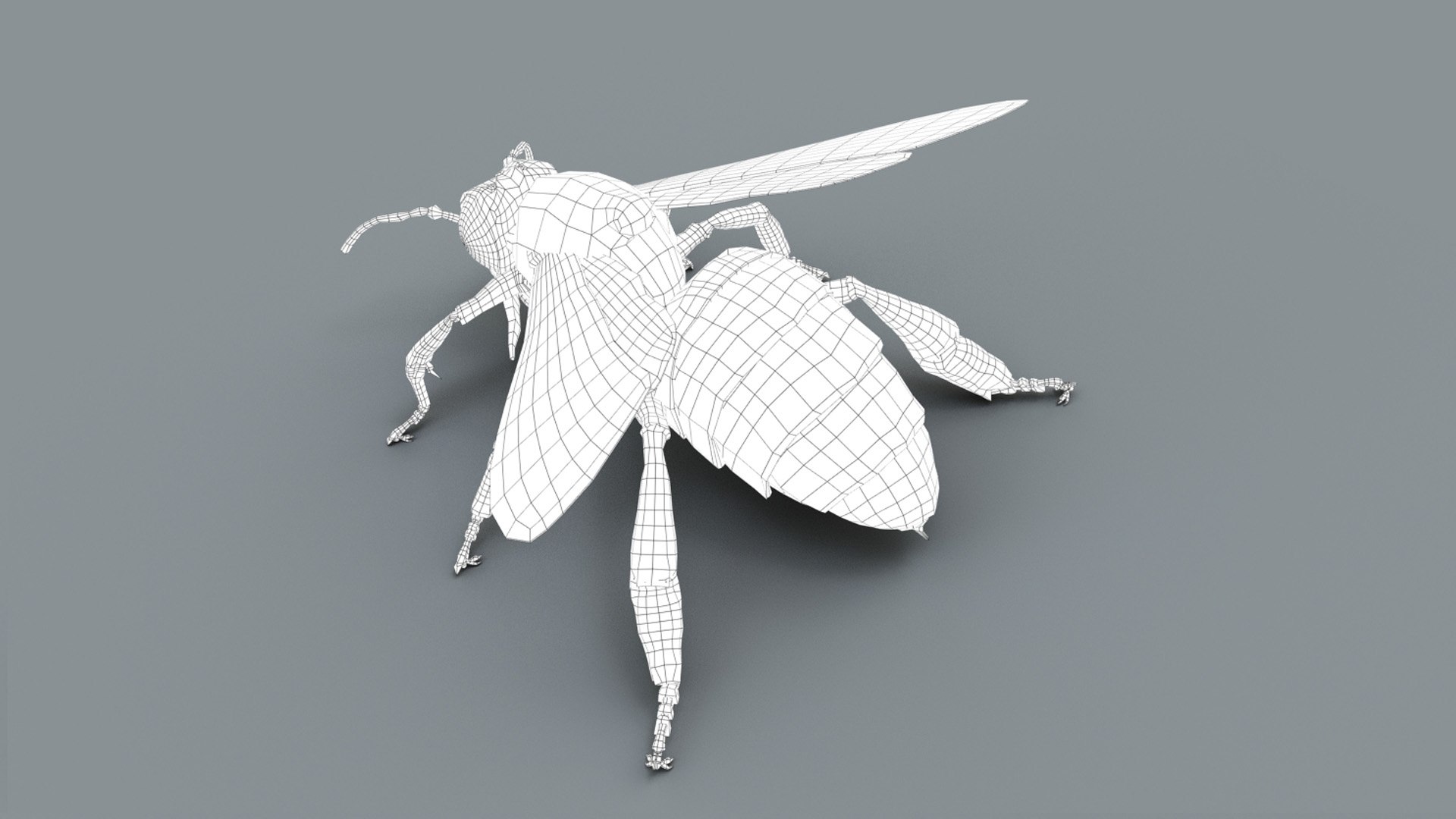 3D HoneyBee XGEN RIG - TurboSquid 2181572