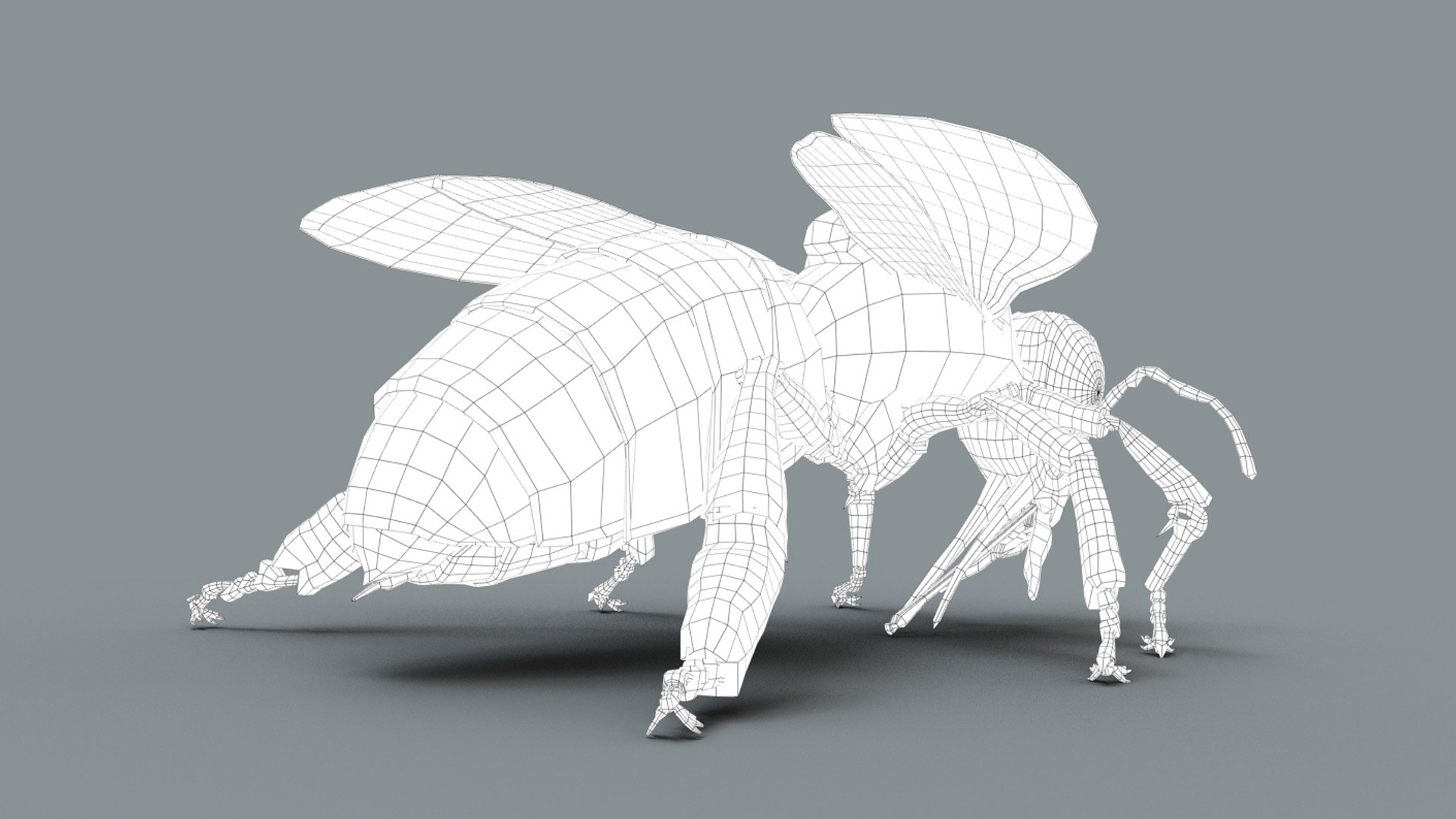 3D HoneyBee XGEN RIG - TurboSquid 2181572