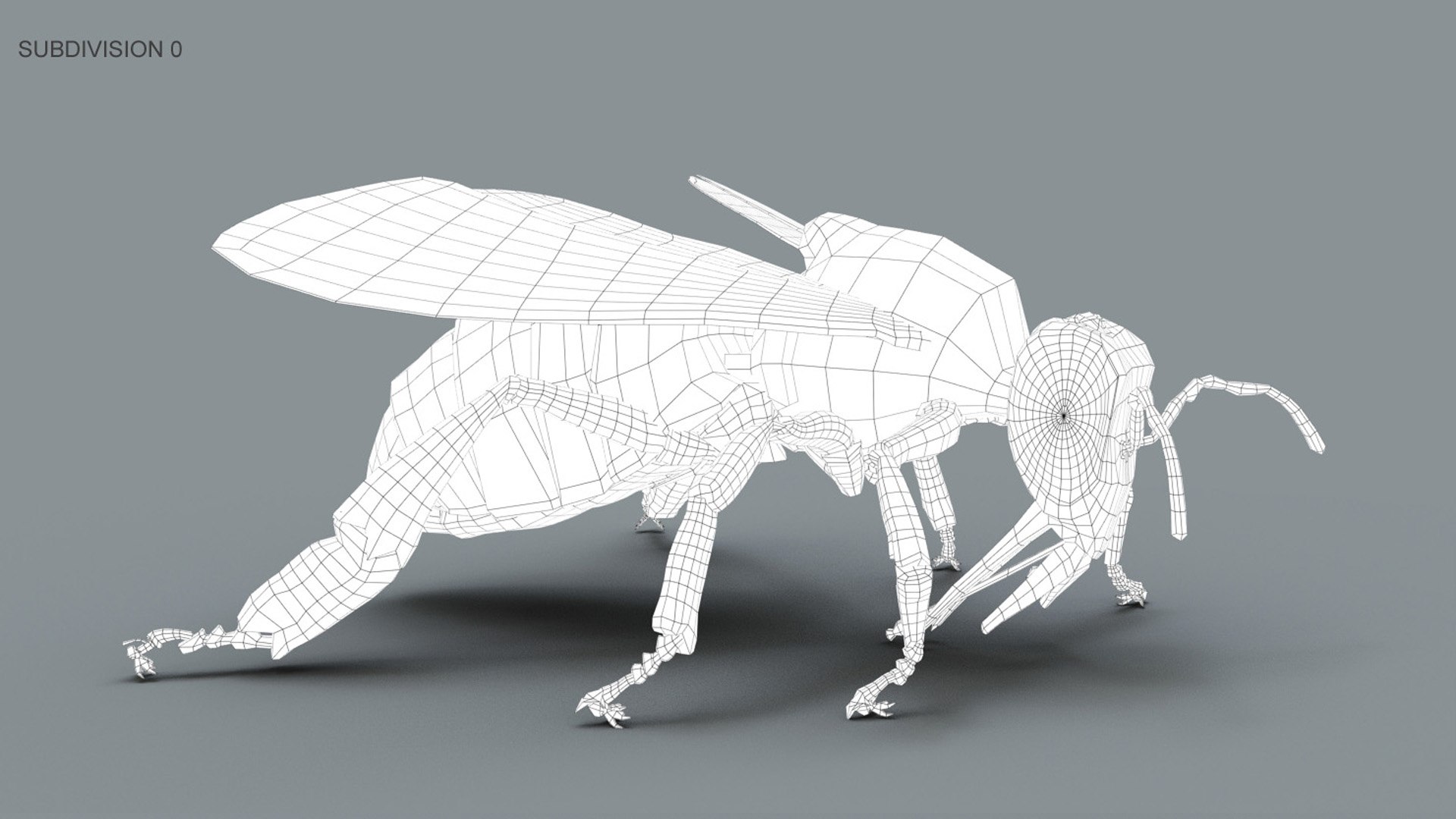 3D HoneyBee XGEN RIG - TurboSquid 2181572