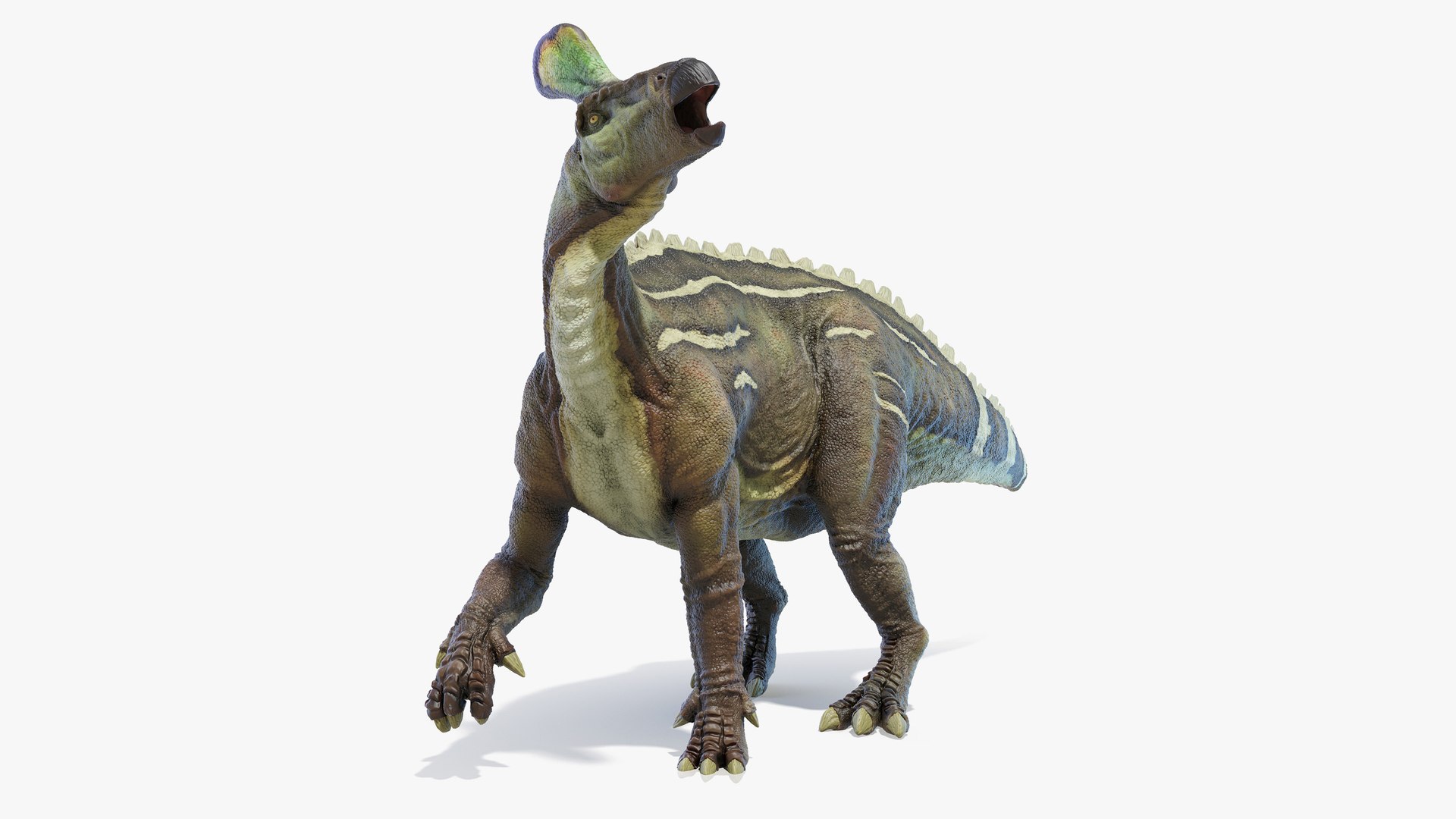 Tsintaosaurus Animated 3D model - TurboSquid 1930892