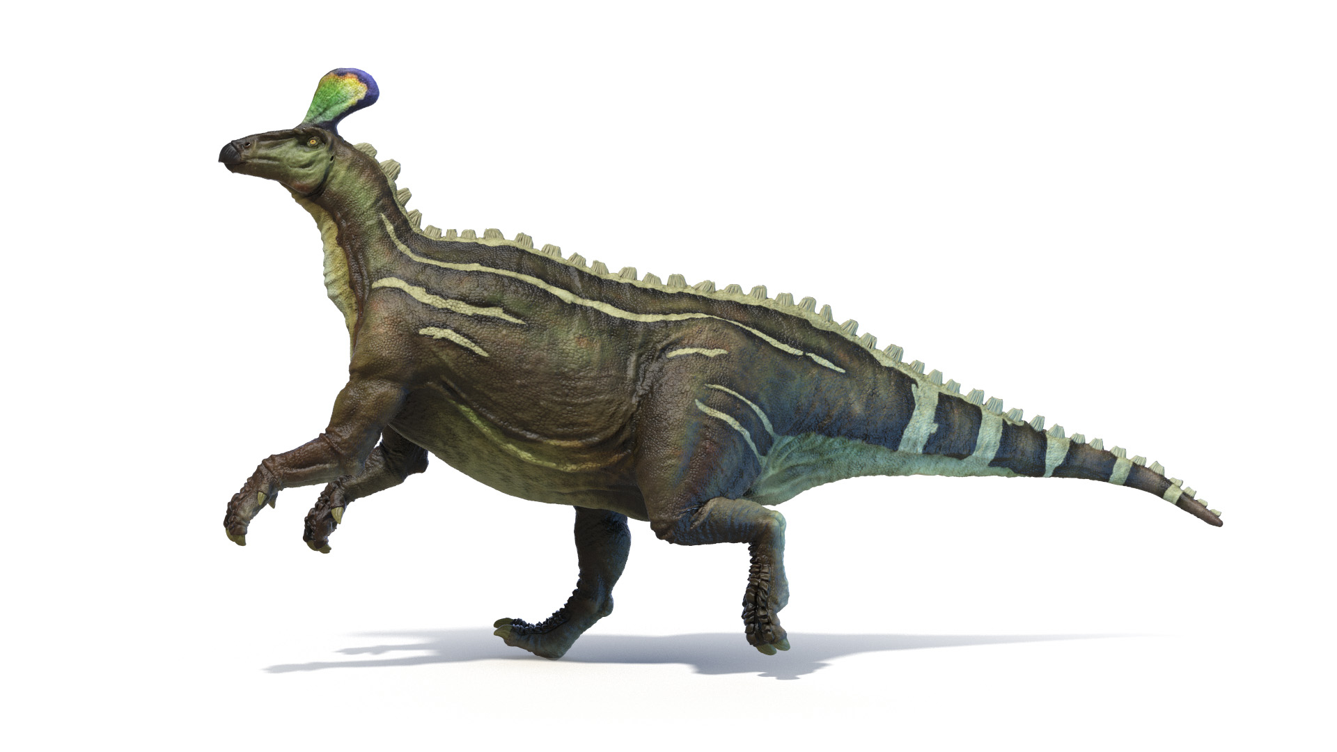 Tsintaosaurus Animated 3D Model - TurboSquid 1930892