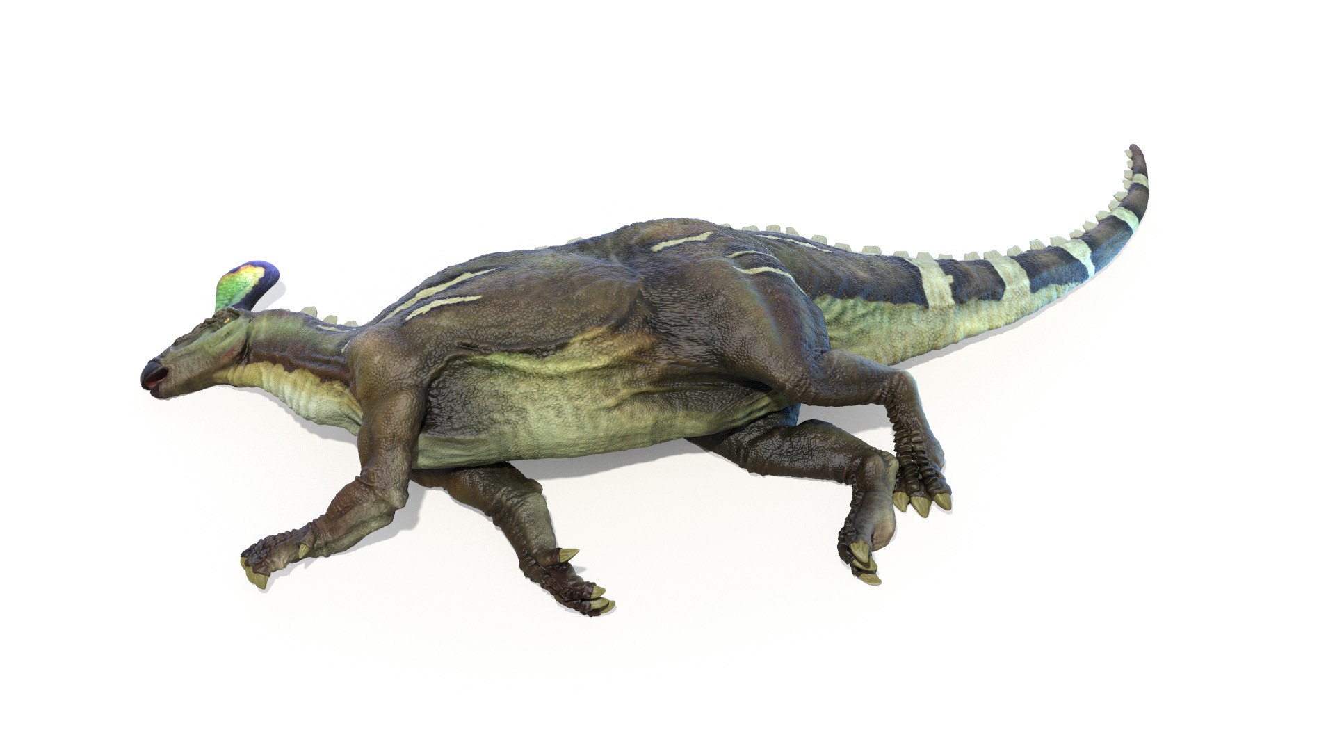 Tsintaosaurus Animated 3D Model - TurboSquid 1930892