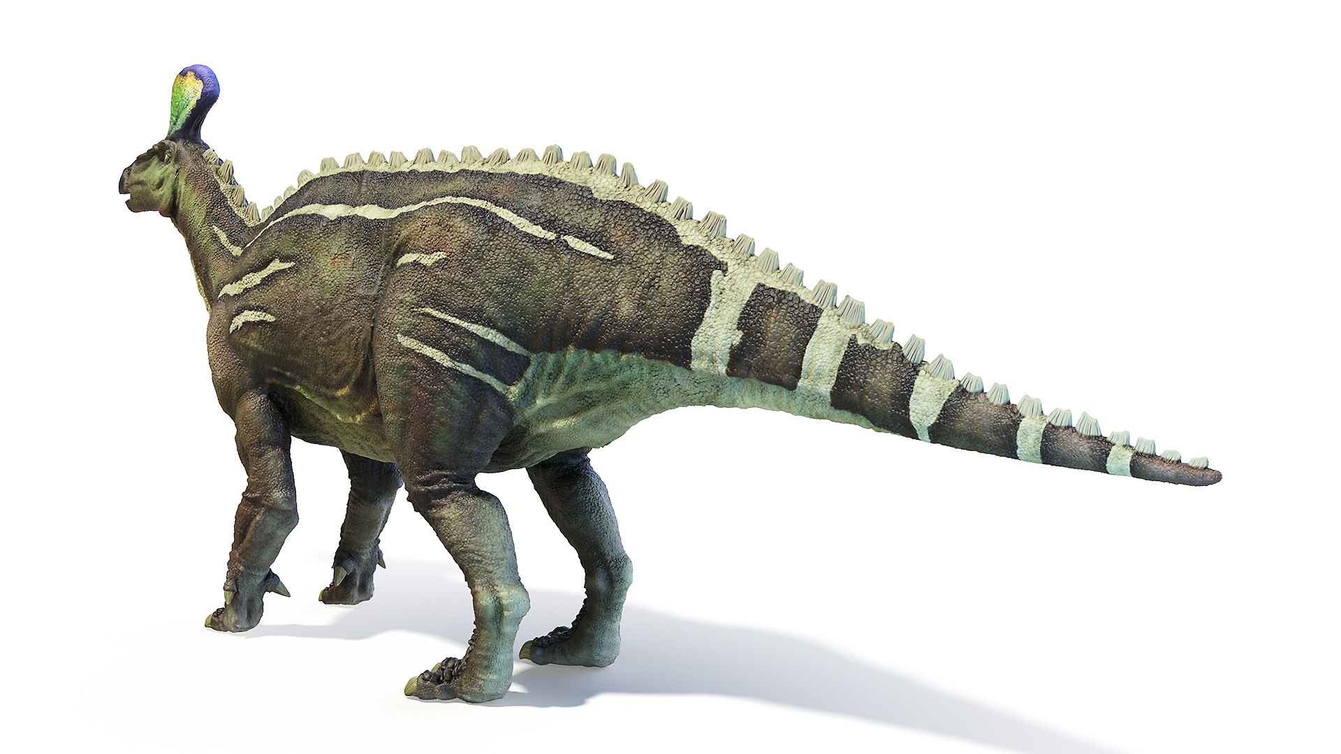 Tsintaosaurus Animated 3D Model - TurboSquid 1930892
