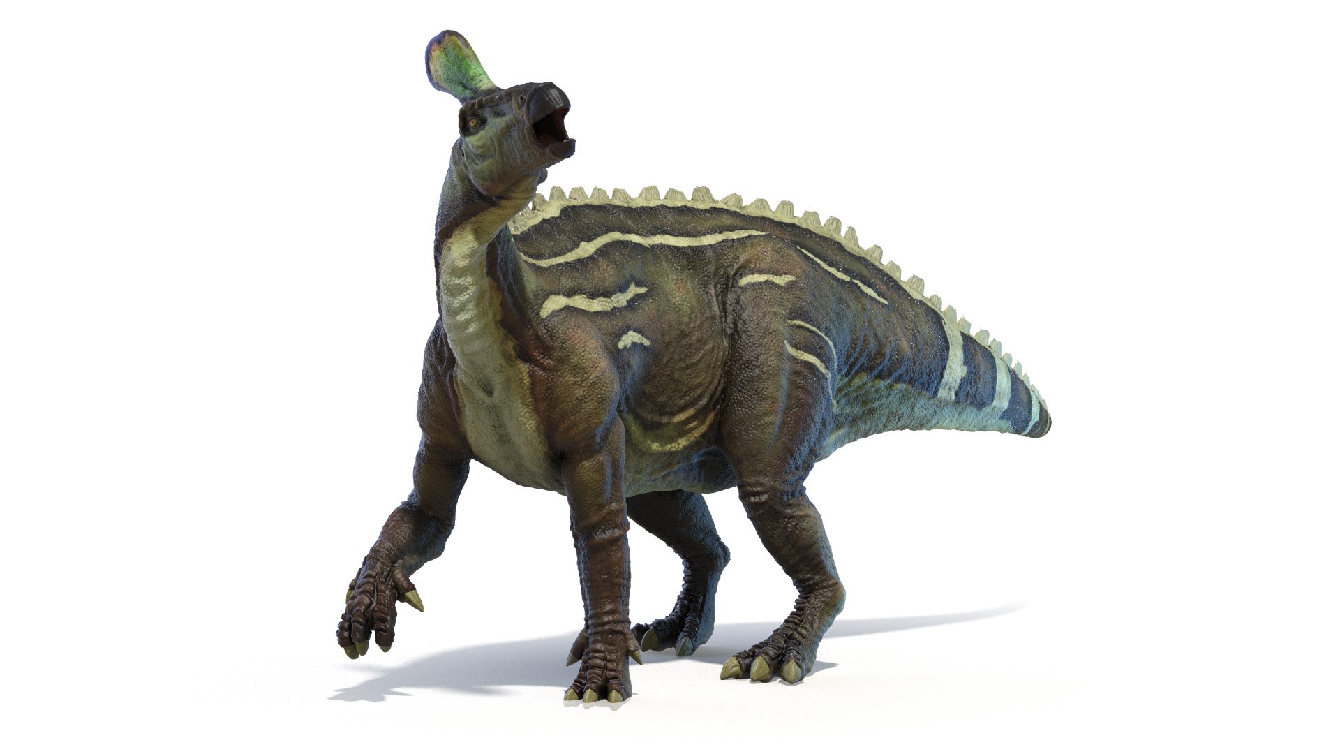 Tsintaosaurus Animated 3D Model - TurboSquid 1930892