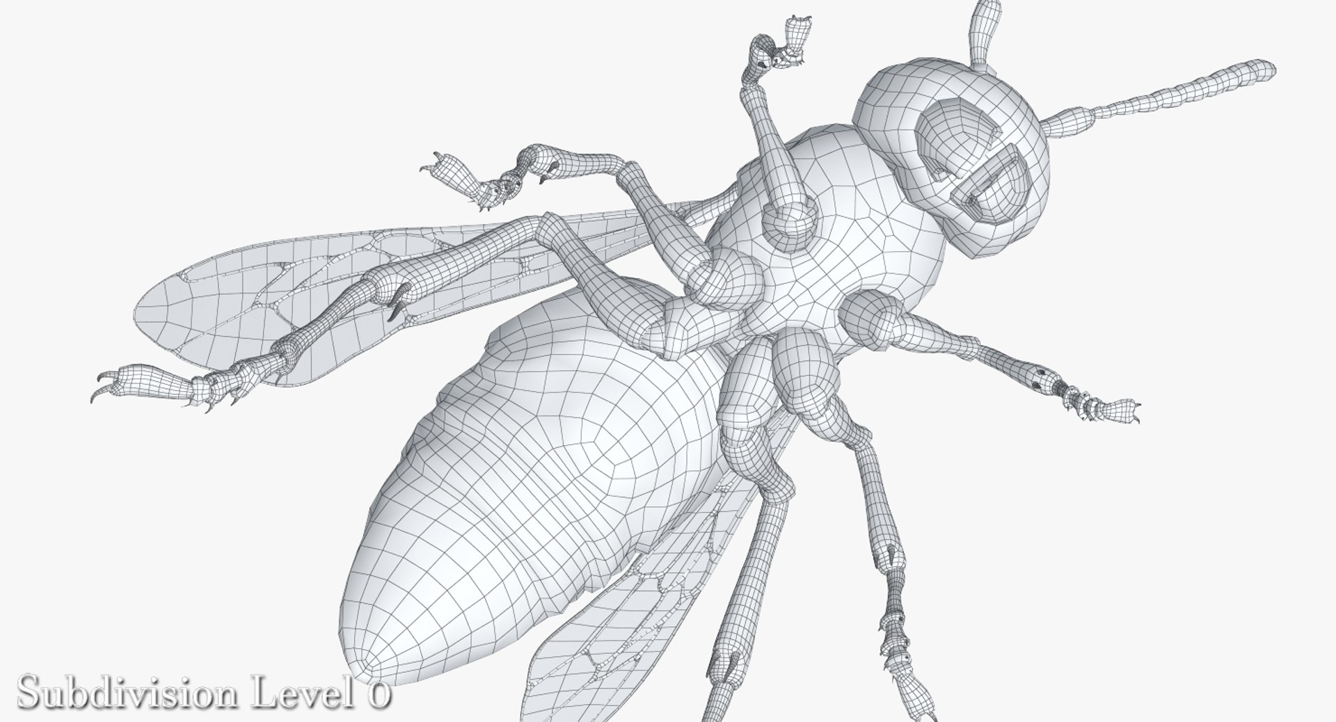 Wasp 3d Model