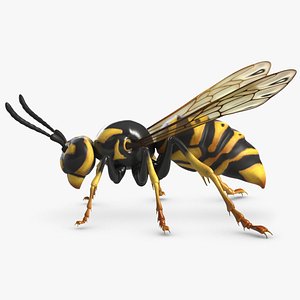 Invertebrate 3D Models for Download | TurboSquid