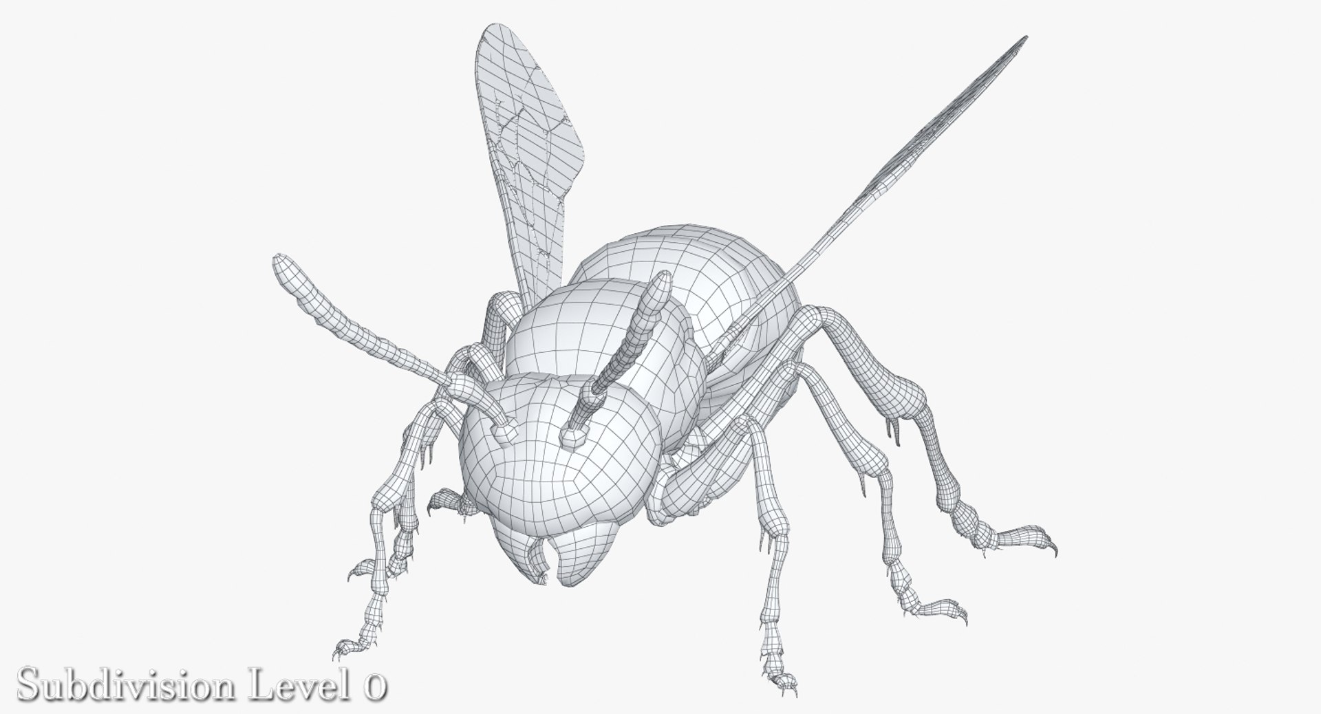 Wasp 3d Model