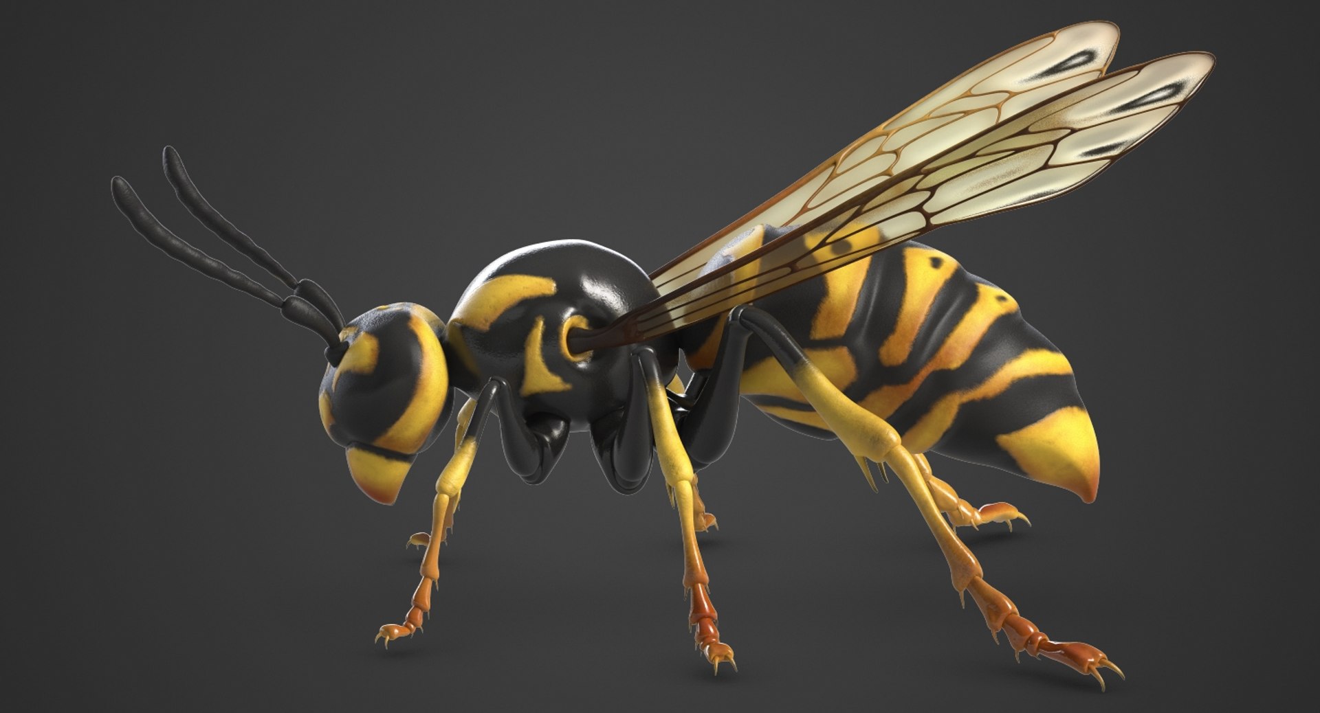 Wasp 3d Model