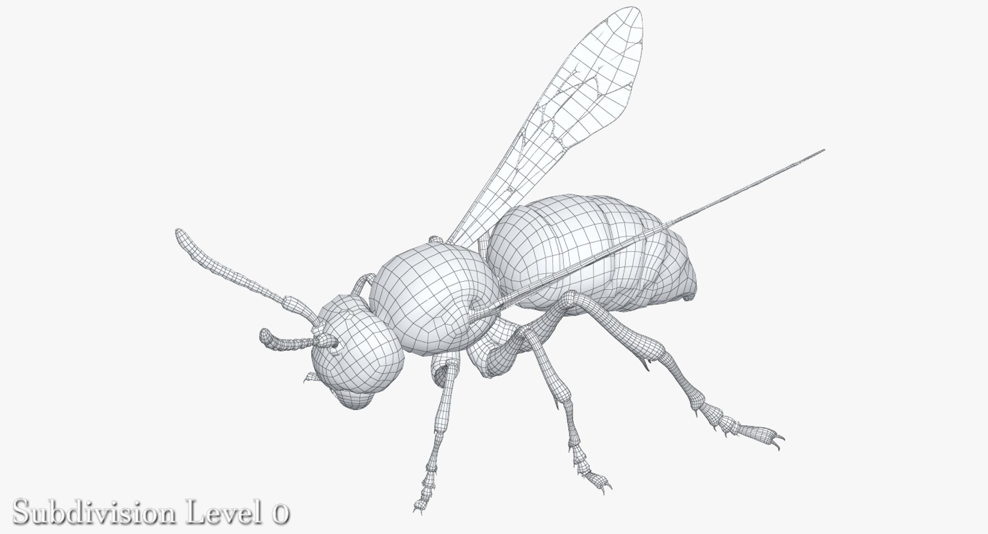 Wasp 3d Model