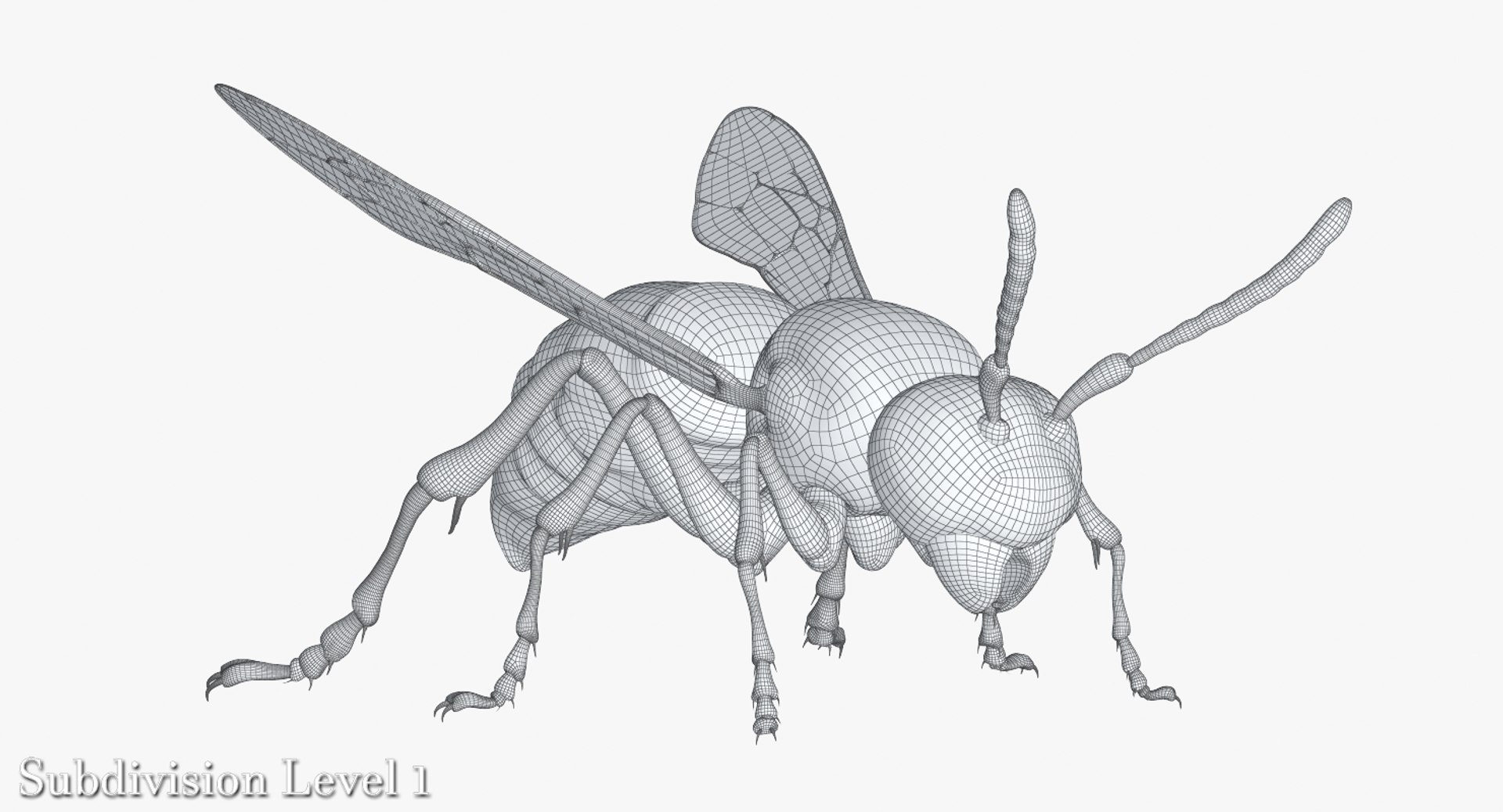 Wasp 3d Model