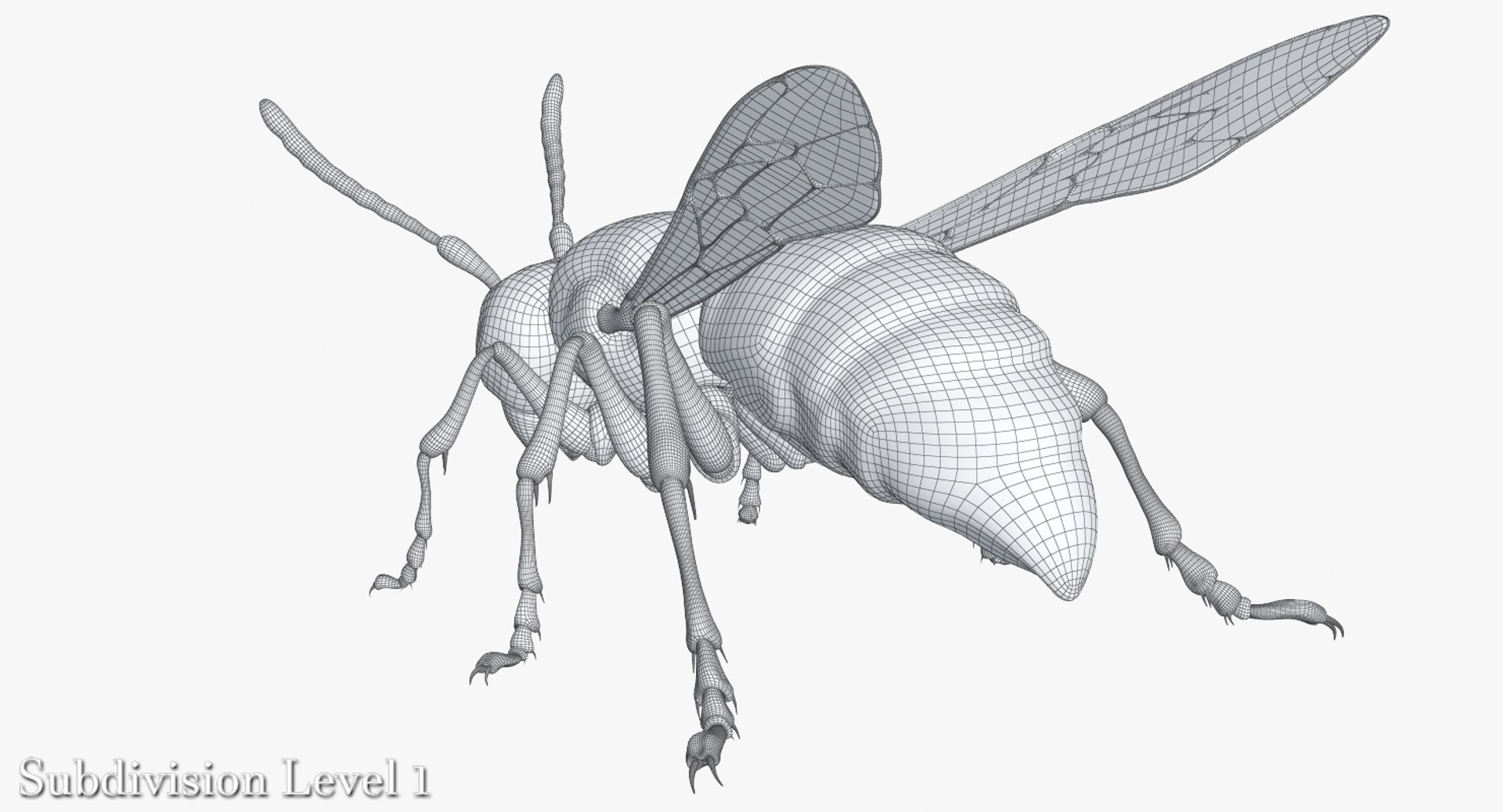Wasp 3d Model