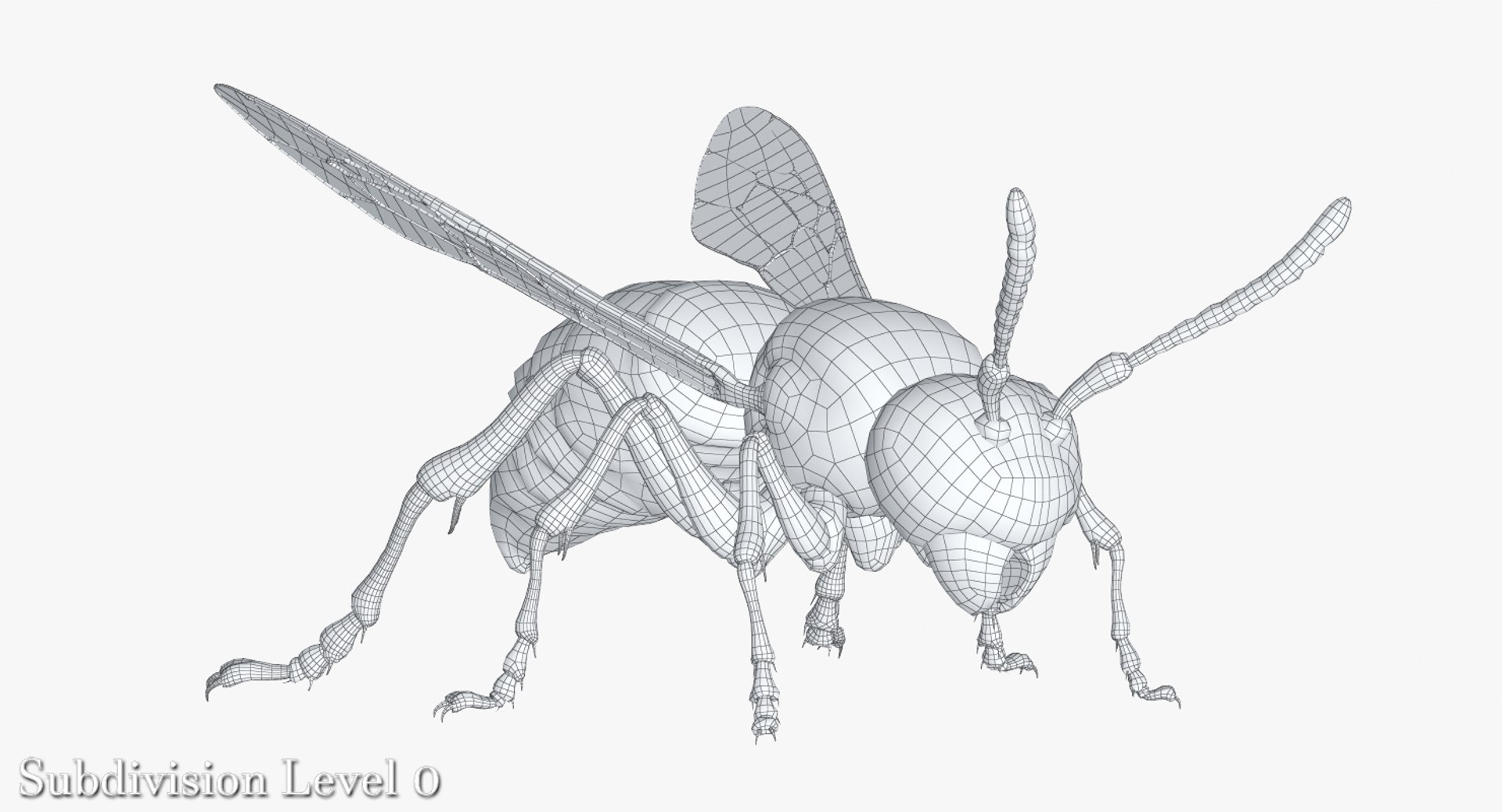 Wasp 3d Model