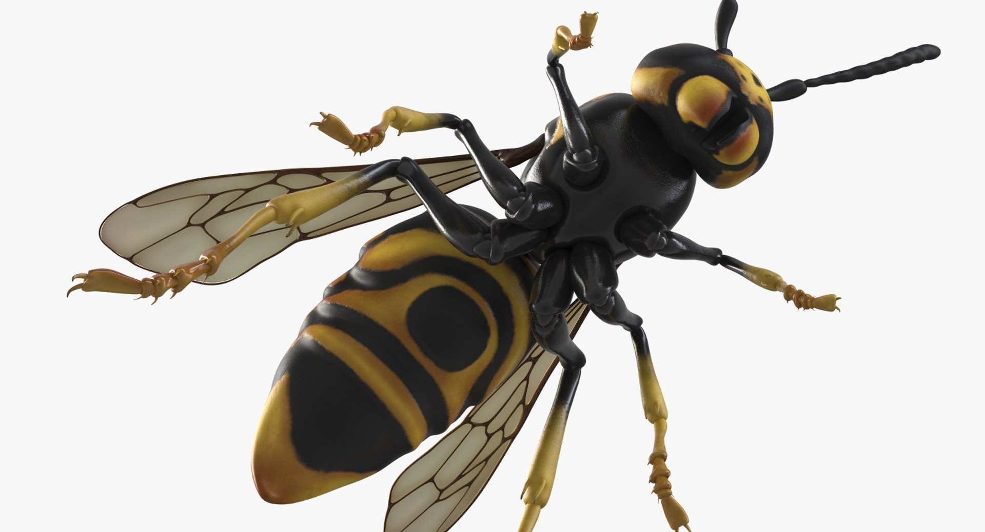Wasp 3d Model