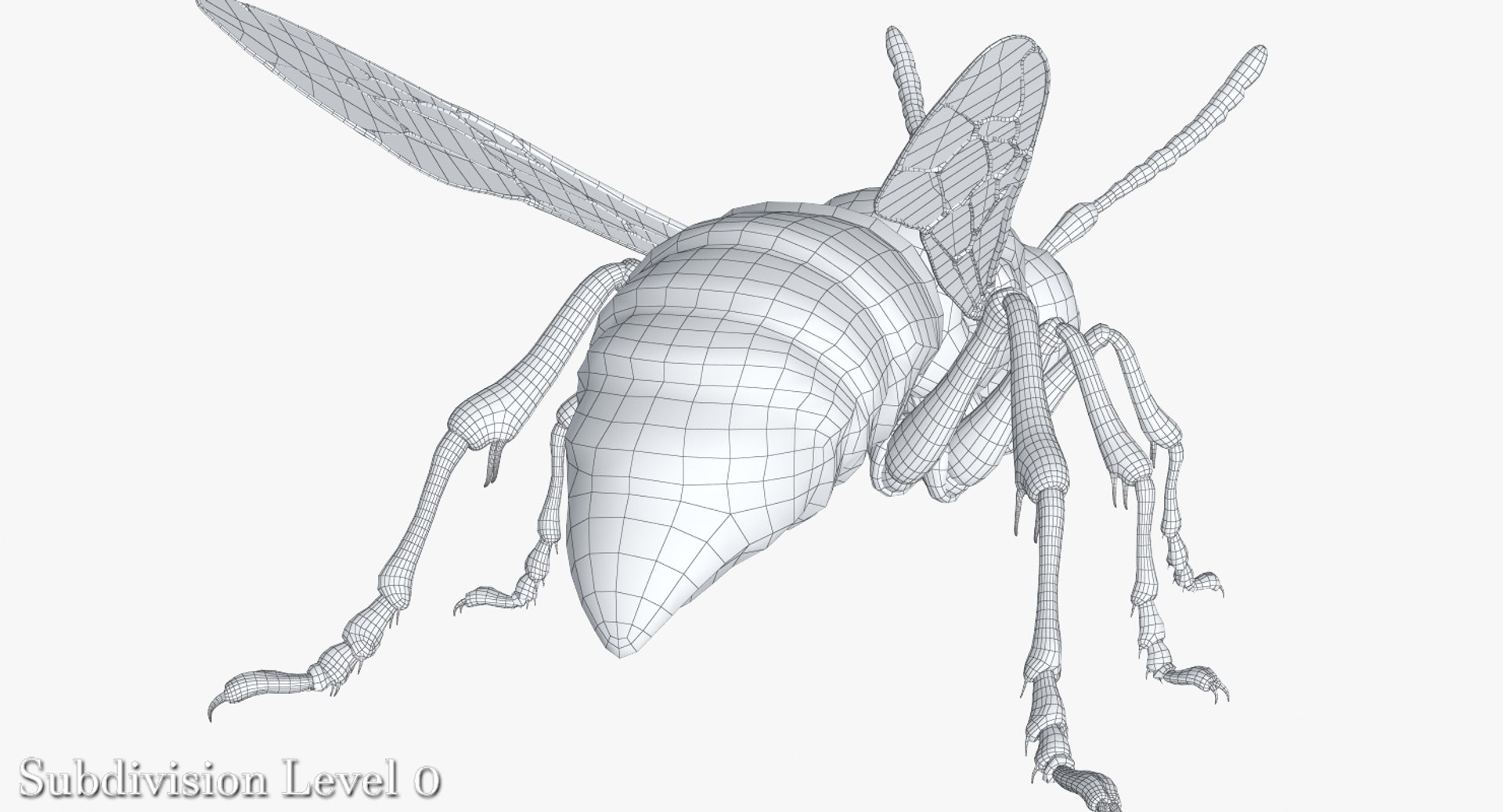 Wasp 3d Model