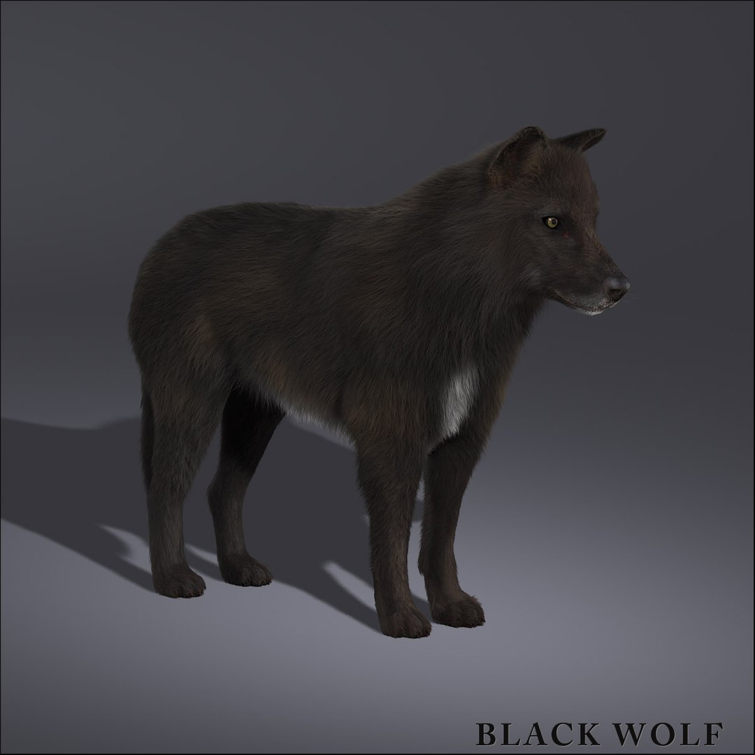 3d Wolves 2 Wolf Model