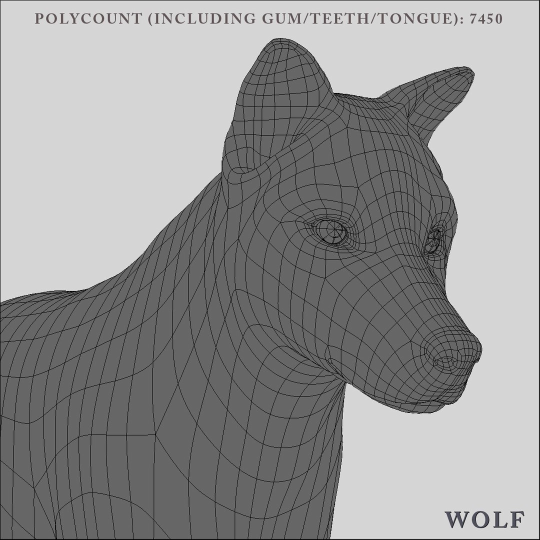 3d Wolves 2 Wolf Model