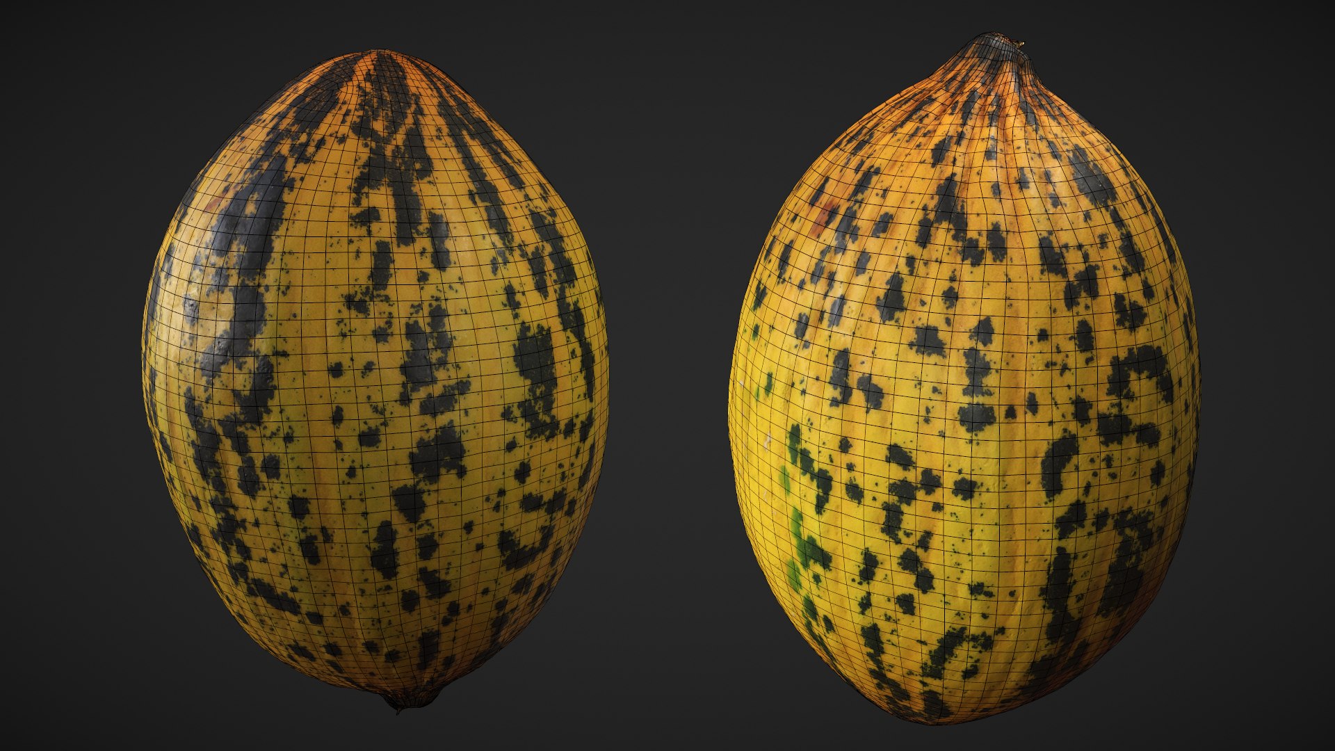 Melons 3D model - TurboSquid 1763844