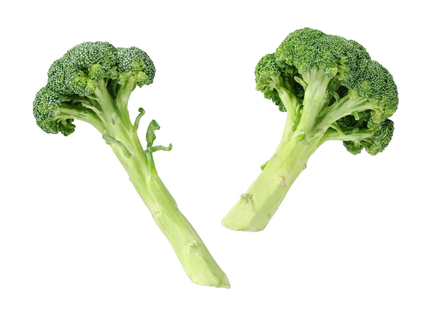 3D Broccoli Bunch Model - TurboSquid 2095999