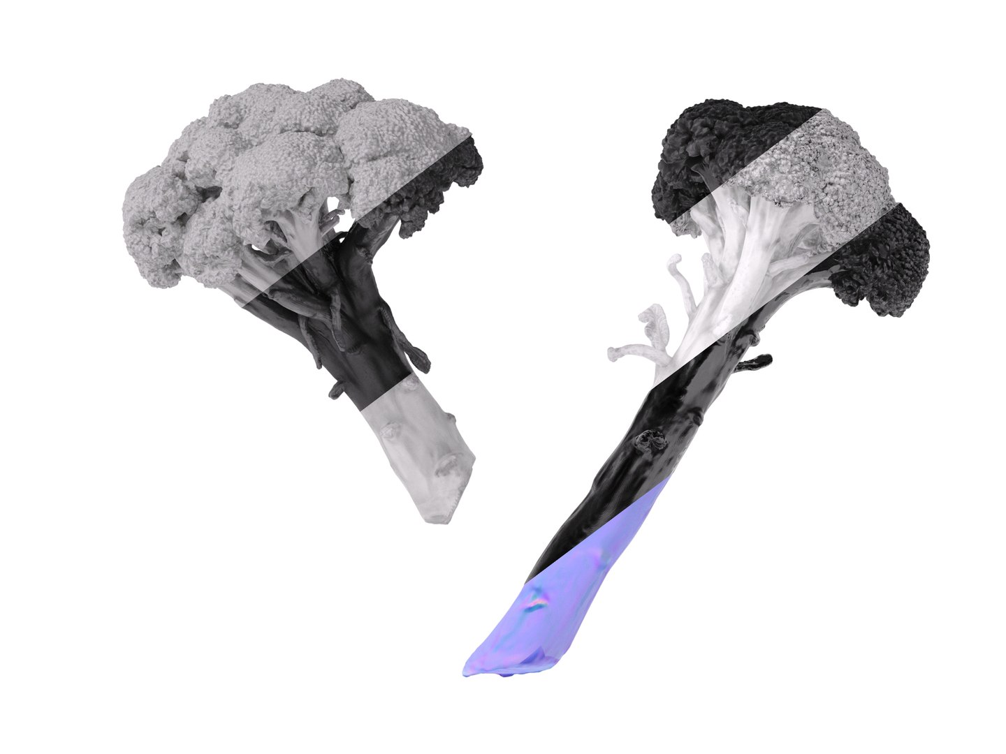 3D Broccoli Bunch Model - TurboSquid 2095999
