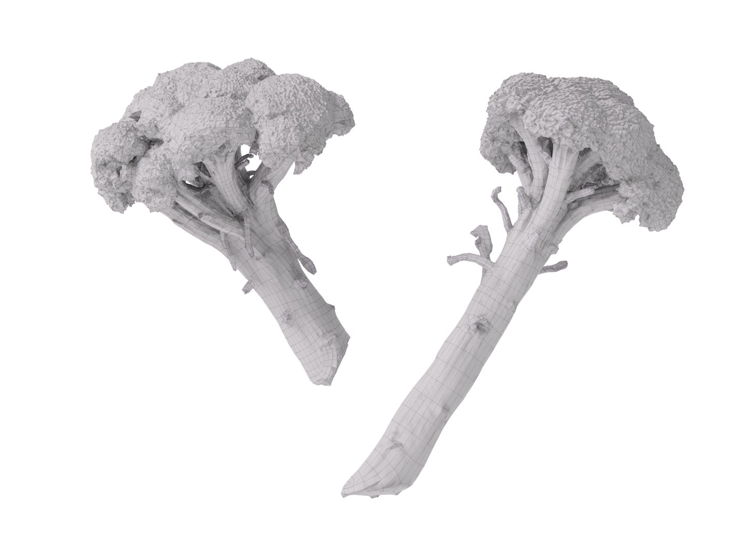 3D Broccoli Bunch Model - TurboSquid 2095999