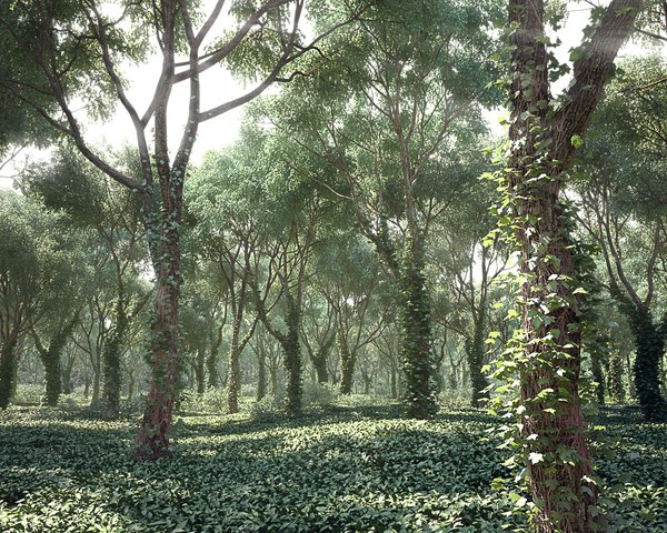 archmodels vol 117 trees obj