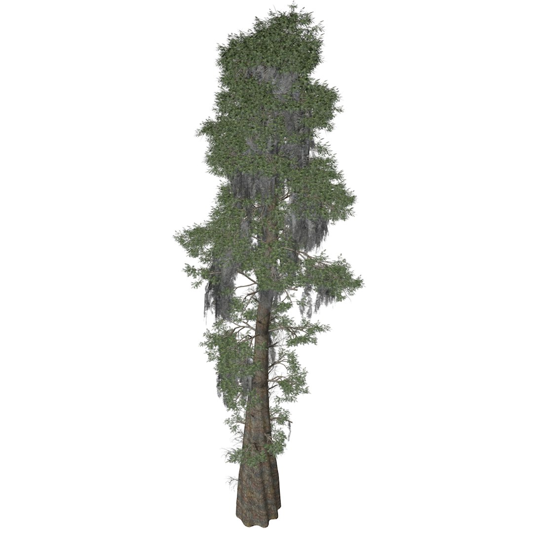 Bald Cypress Tree Collection 3D Model - TurboSquid 2377948