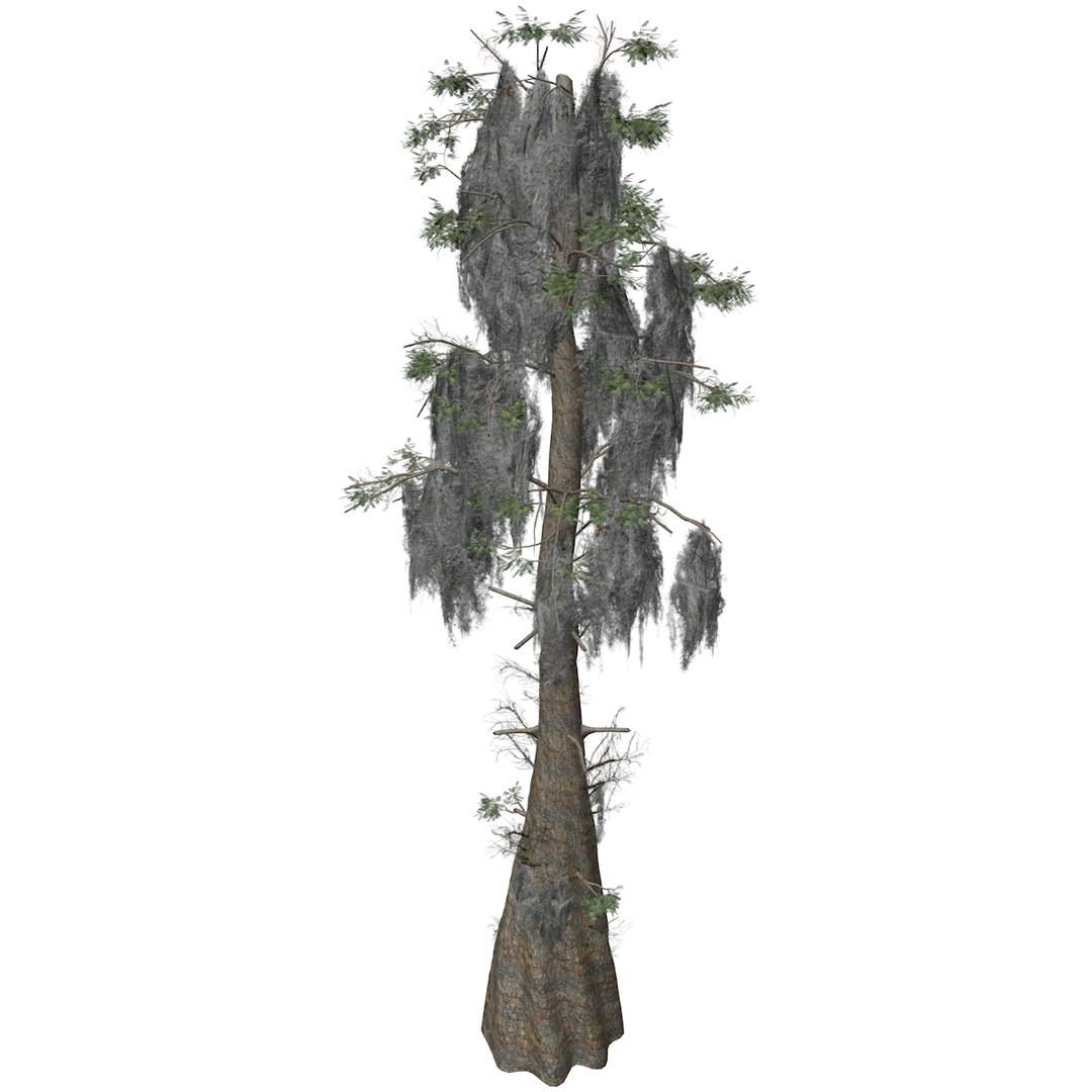 Bald Cypress Tree Collection 3D Model - TurboSquid 2377948