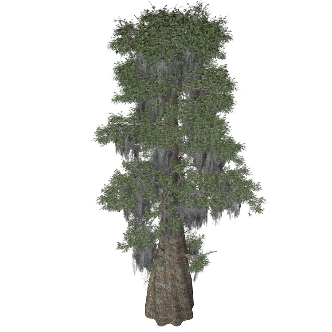 Bald Cypress Tree Collection 3D Model - TurboSquid 2377948