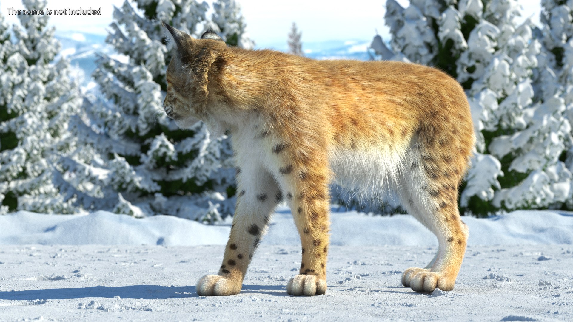 3D Lynx Animal Walking Fur - TurboSquid 2025415