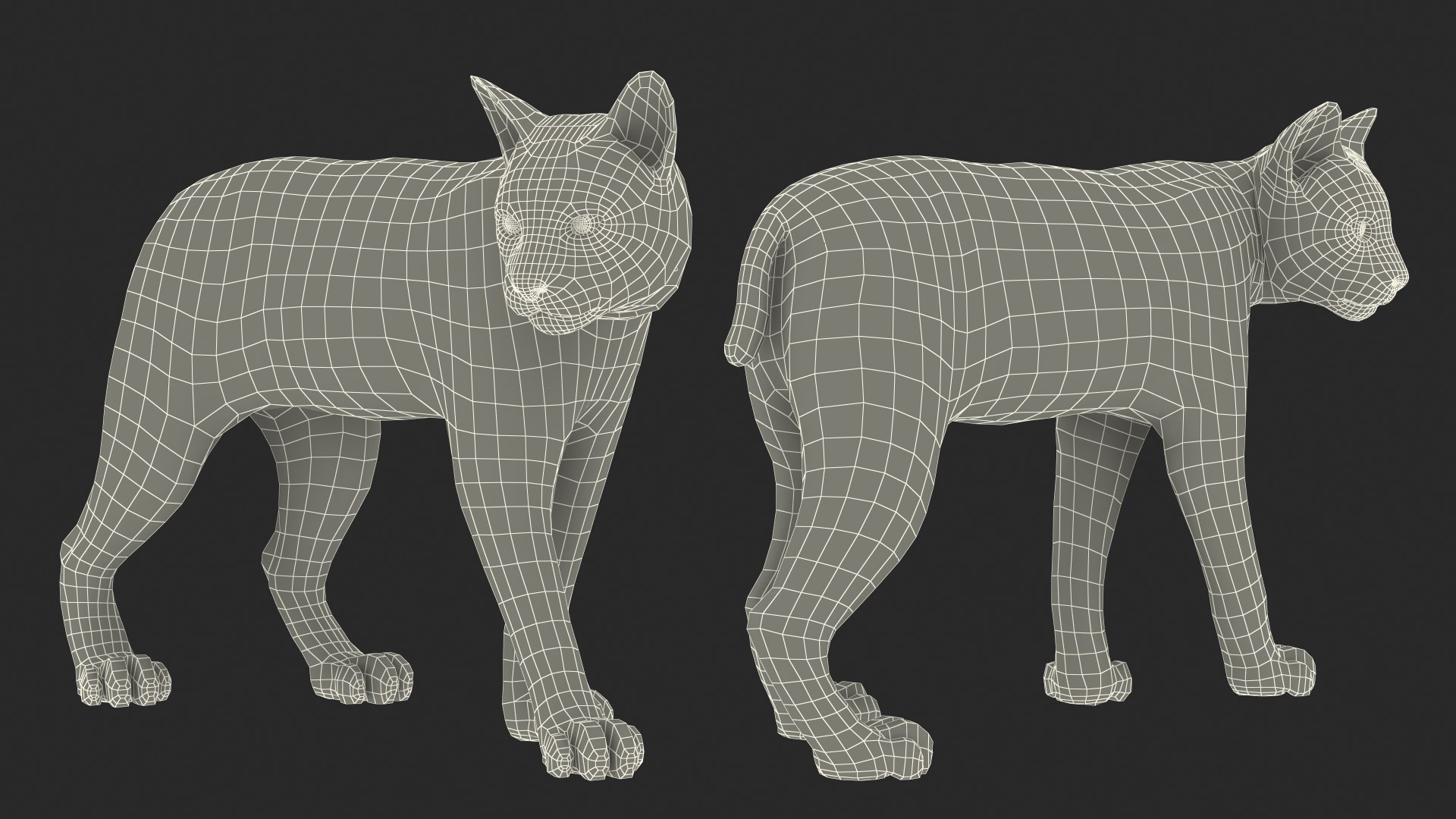 3D Lynx Animal Walking Fur - TurboSquid 2025415