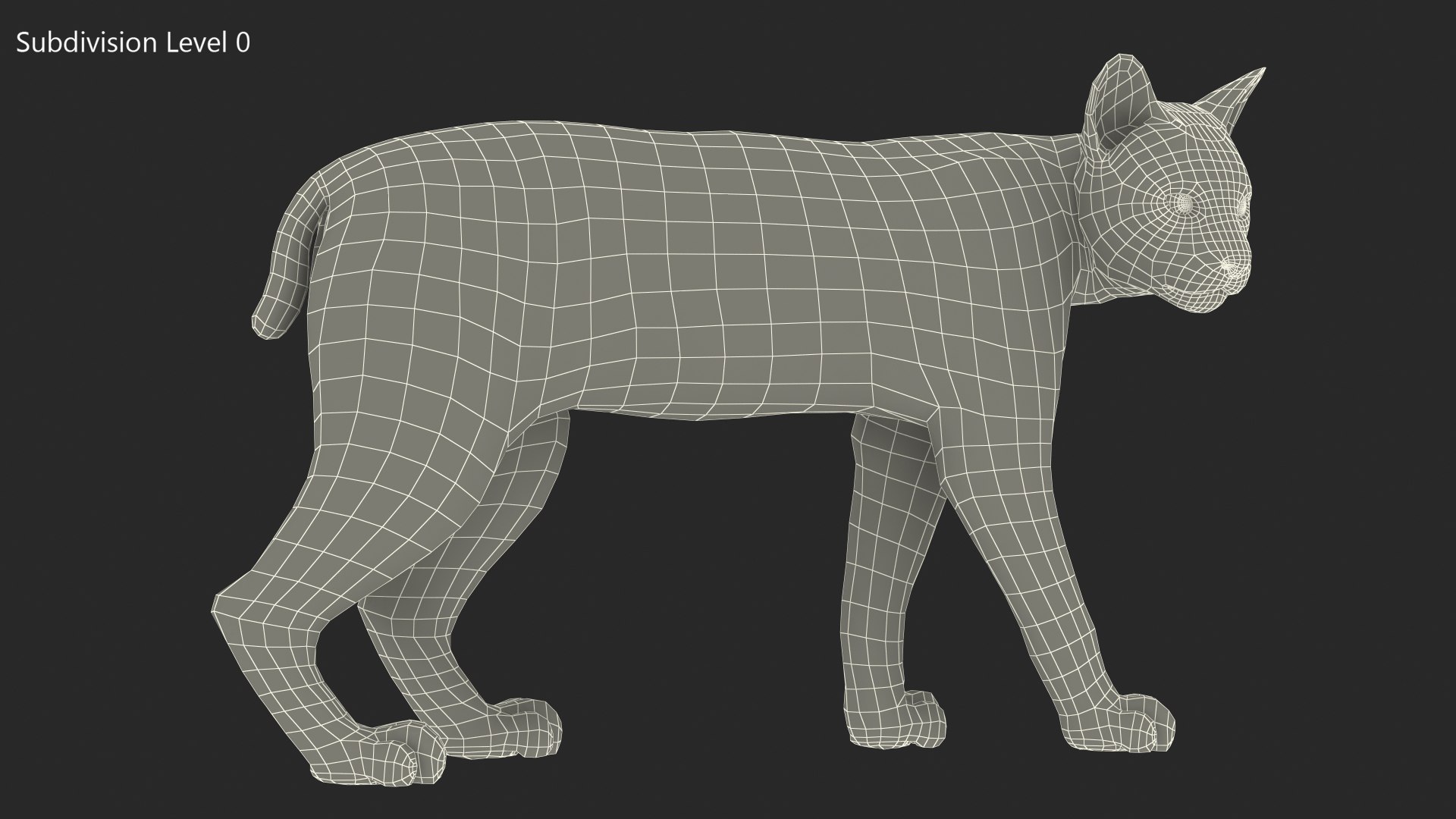 3D Lynx Animal Walking Fur - TurboSquid 2025415