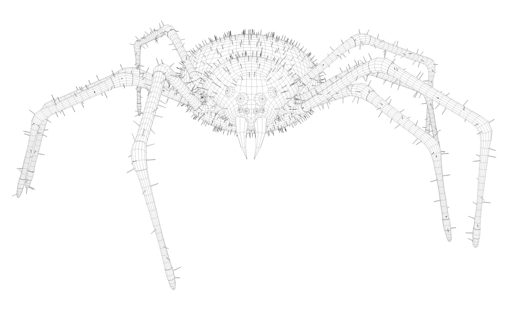 3D spider skeleton model - TurboSquid 1236535