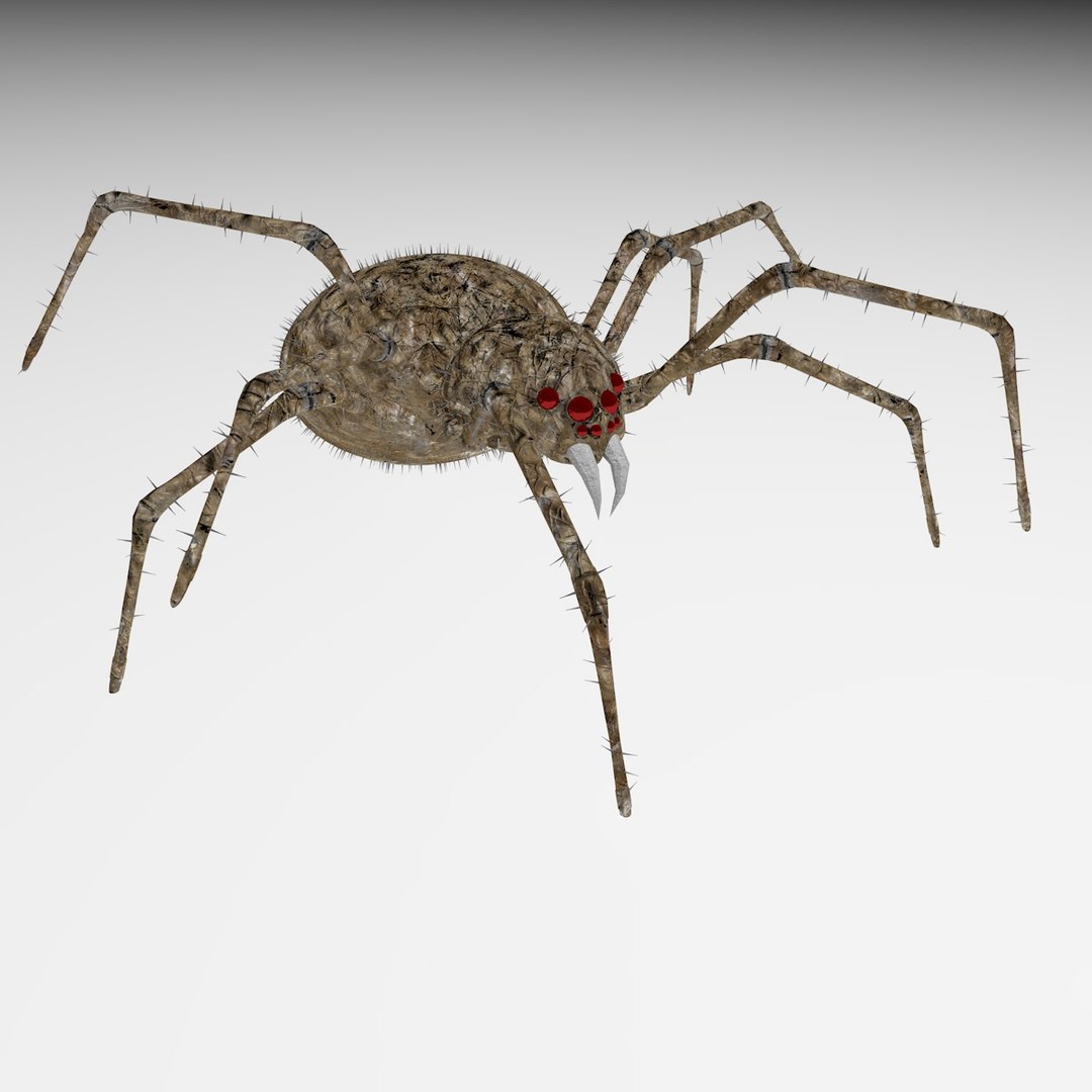 3D spider skeleton model - TurboSquid 1236535