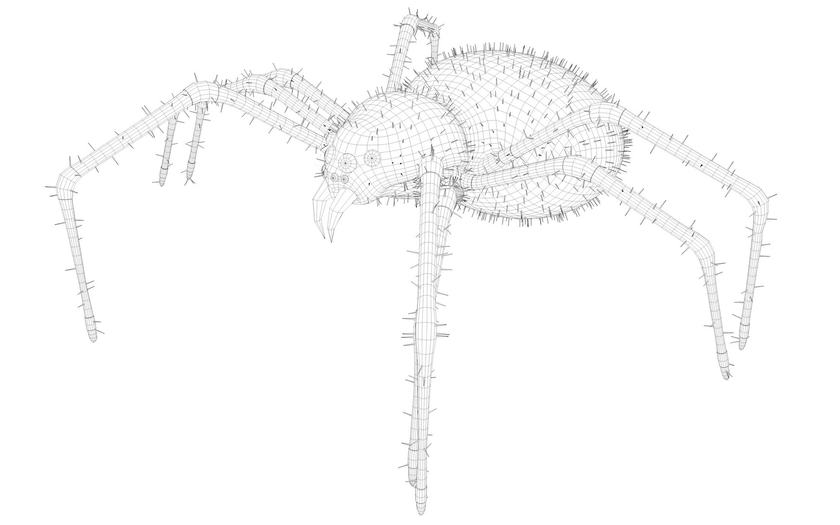 3D spider skeleton model - TurboSquid 1236535