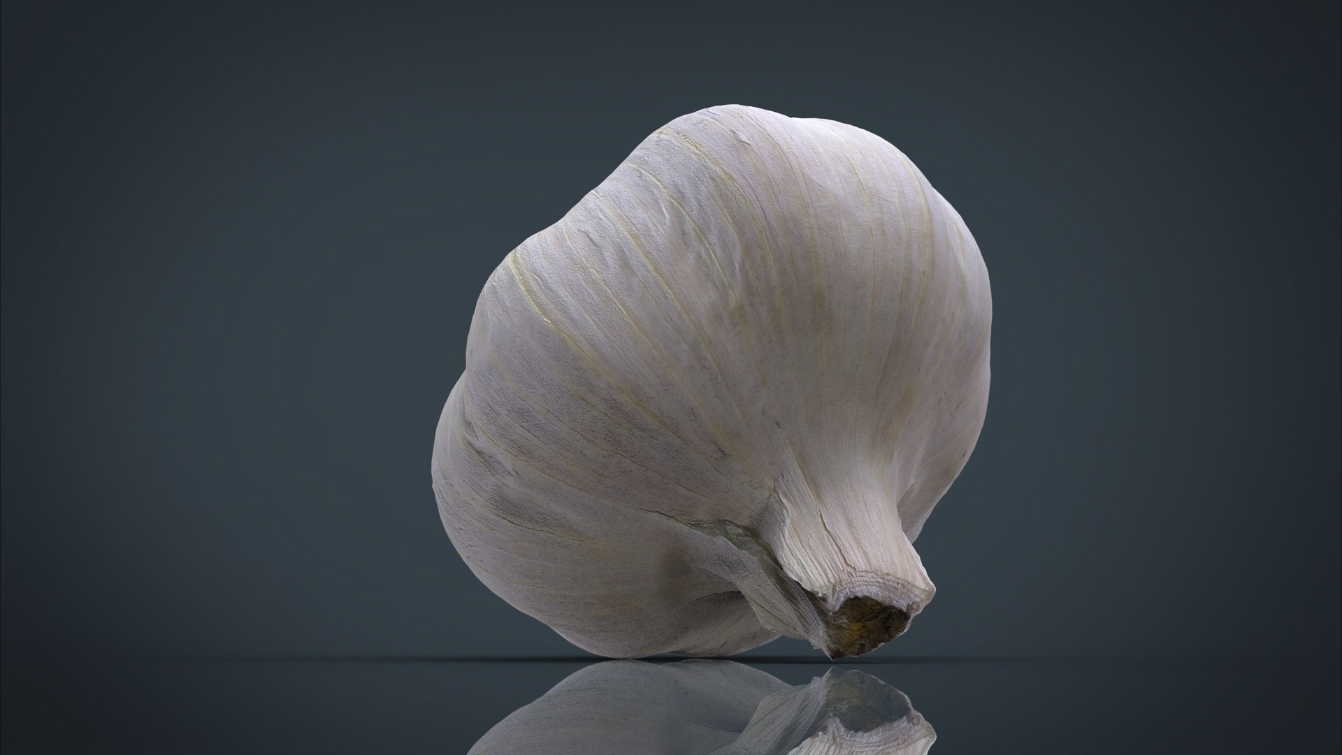 photorealistic garlic 3d max