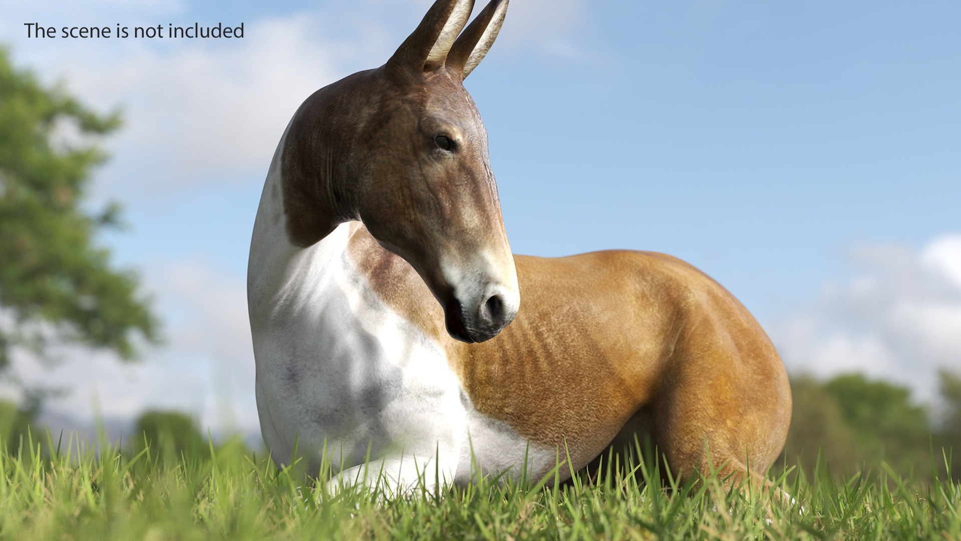 Mule Rigged For Maya 3D Model - TurboSquid 2300004