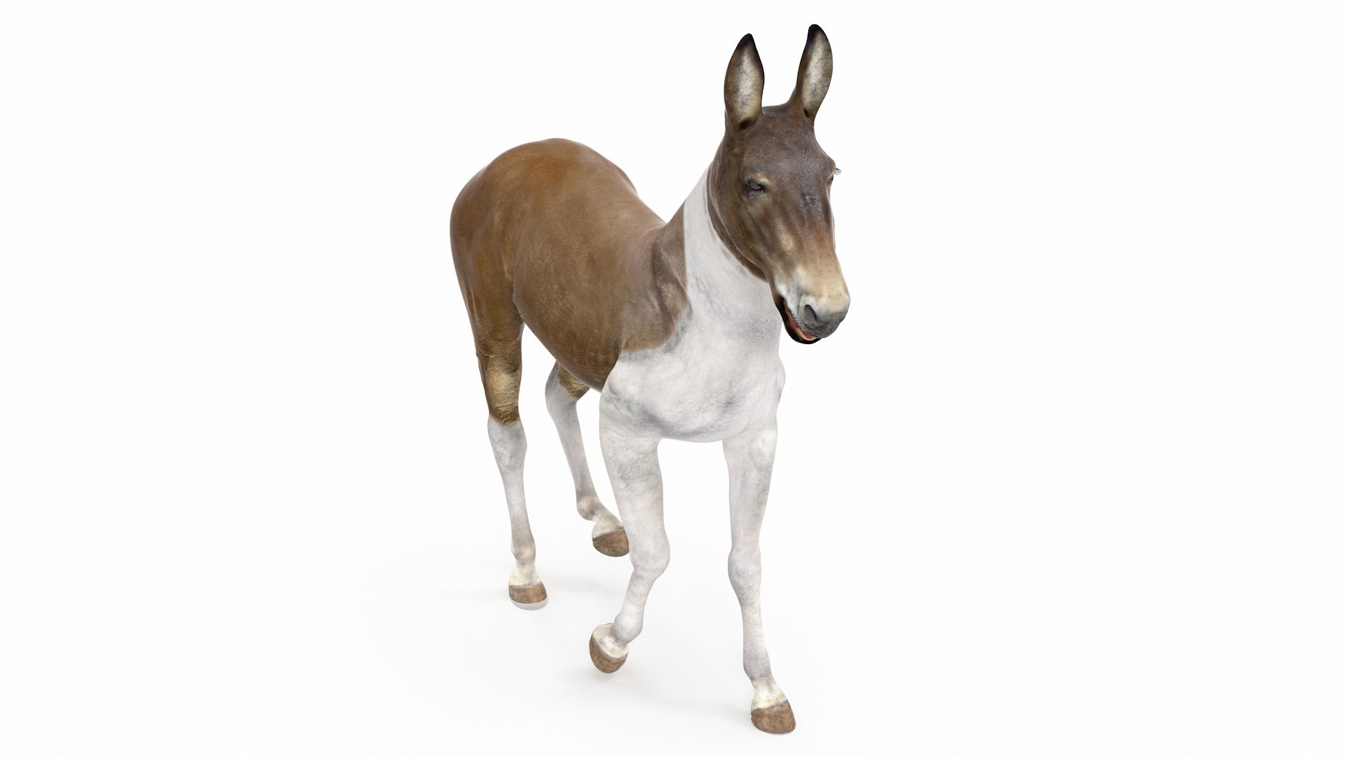 Mule Rigged For Maya 3D Model - TurboSquid 2300004