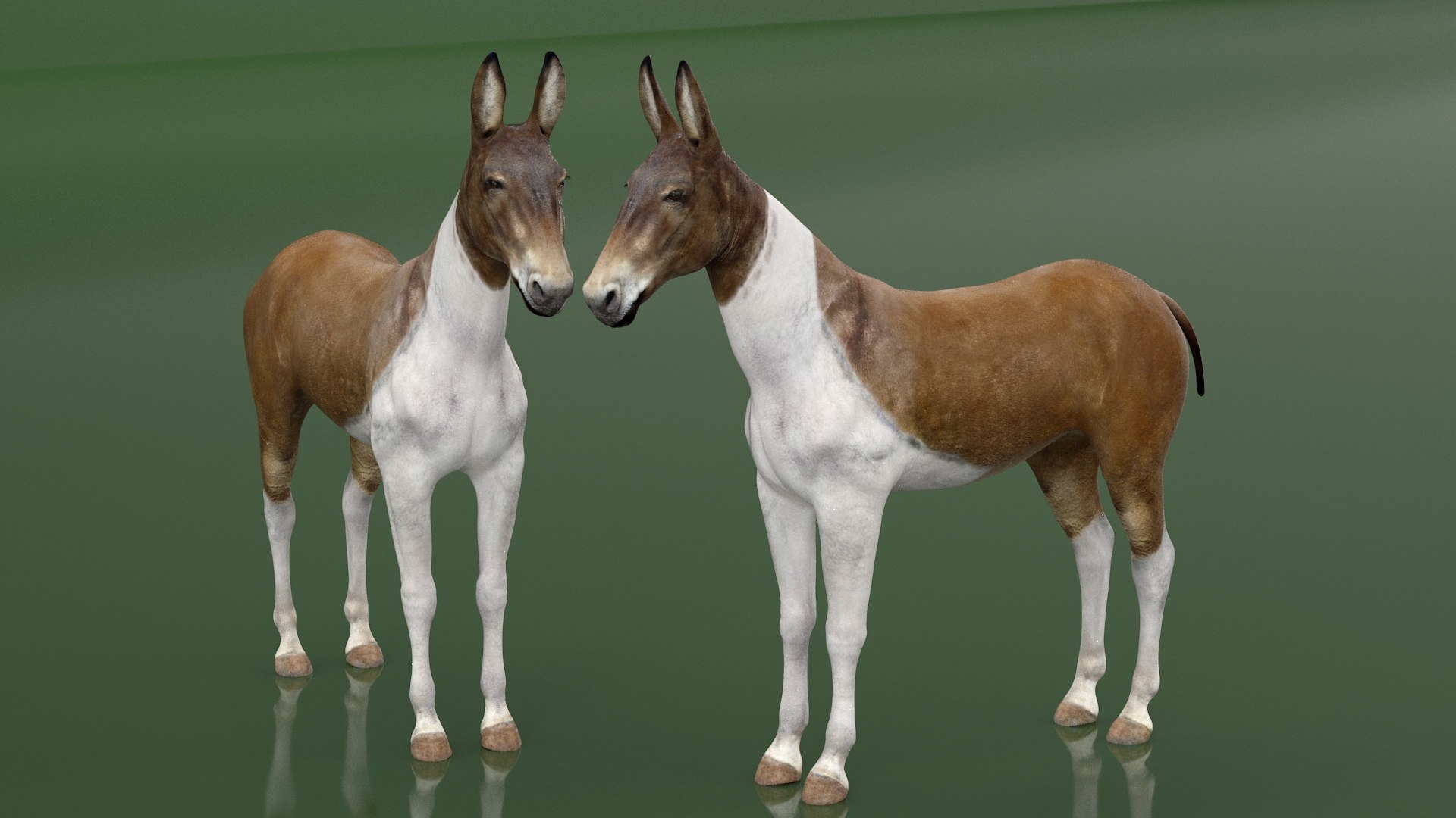 Mule Rigged For Maya 3D Model - TurboSquid 2300004