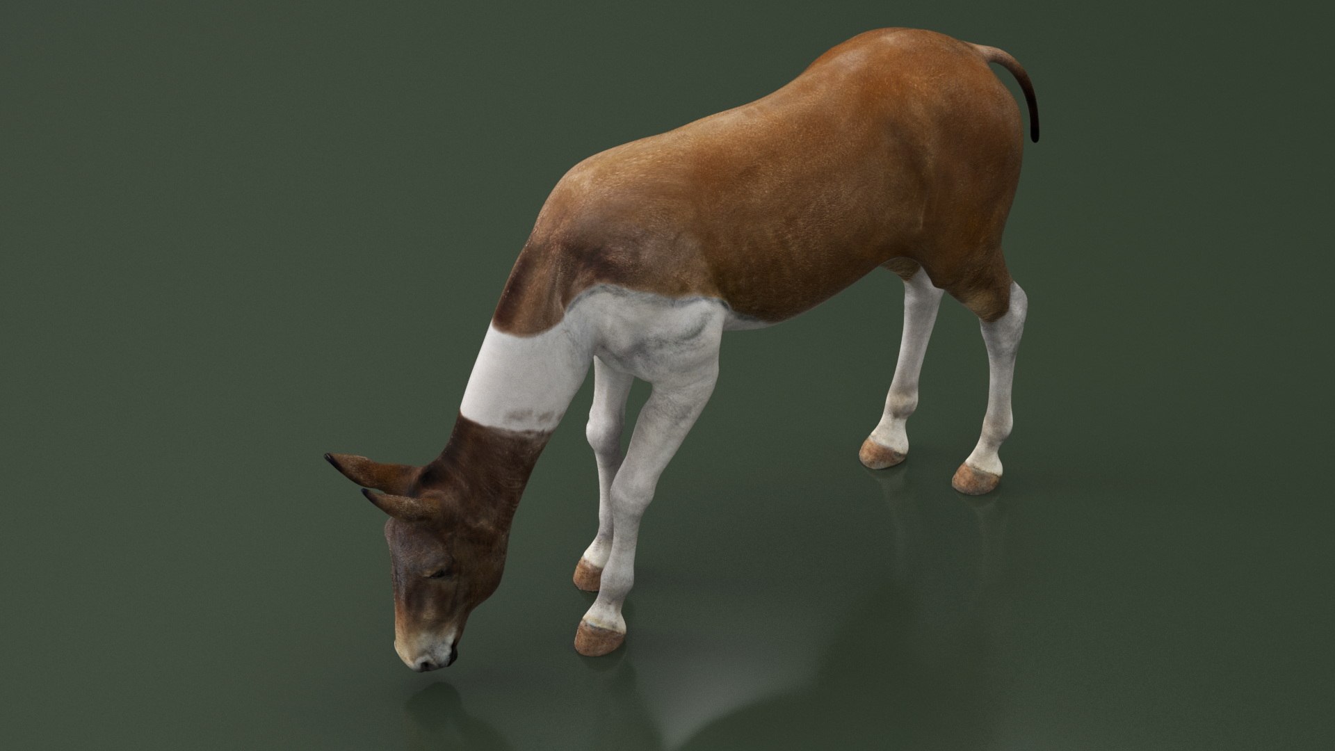 Mule Rigged For Maya 3D Model - TurboSquid 2300004