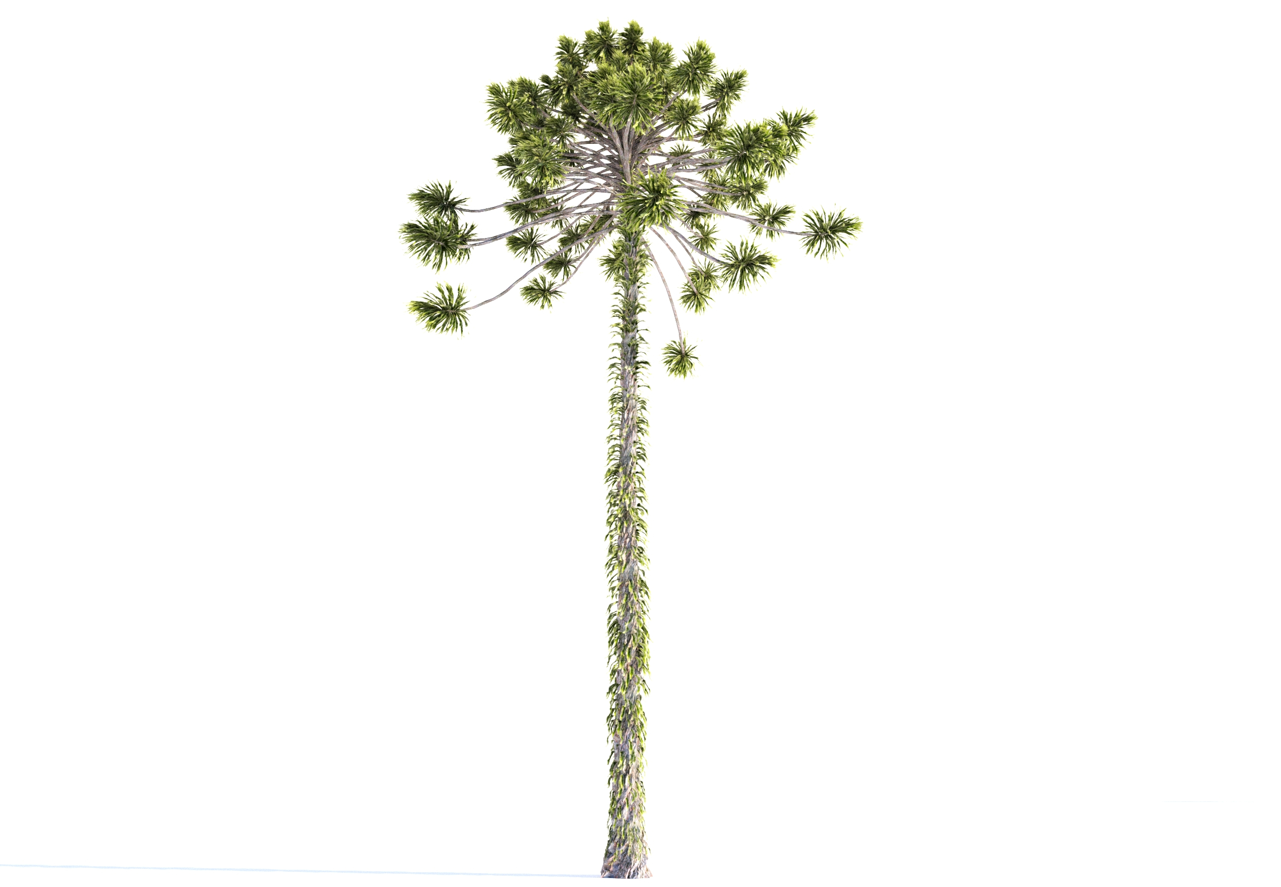 Jurassic tree jura 3D model - TurboSquid 1677785