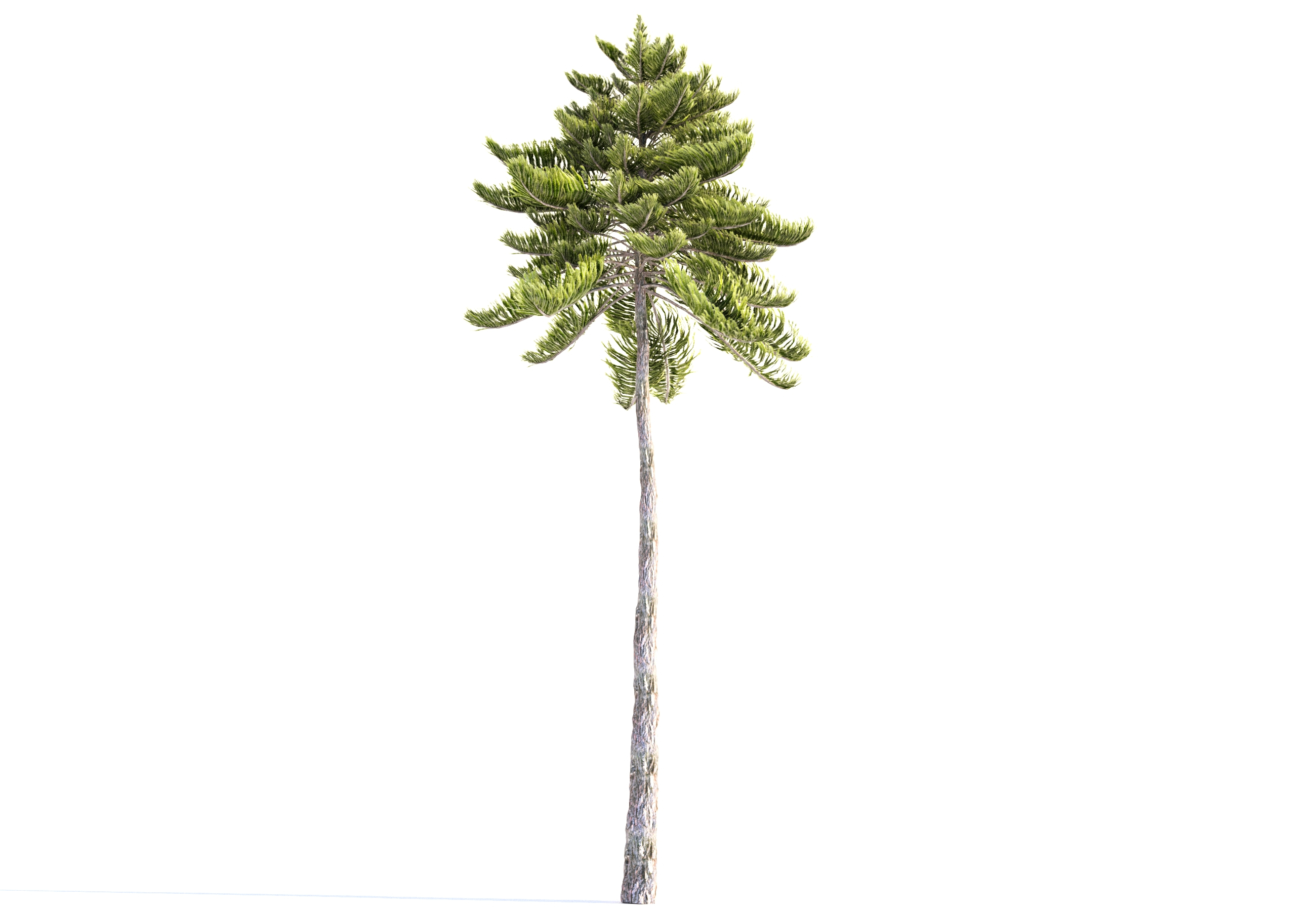 Jurassic tree jura 3D model - TurboSquid 1677785