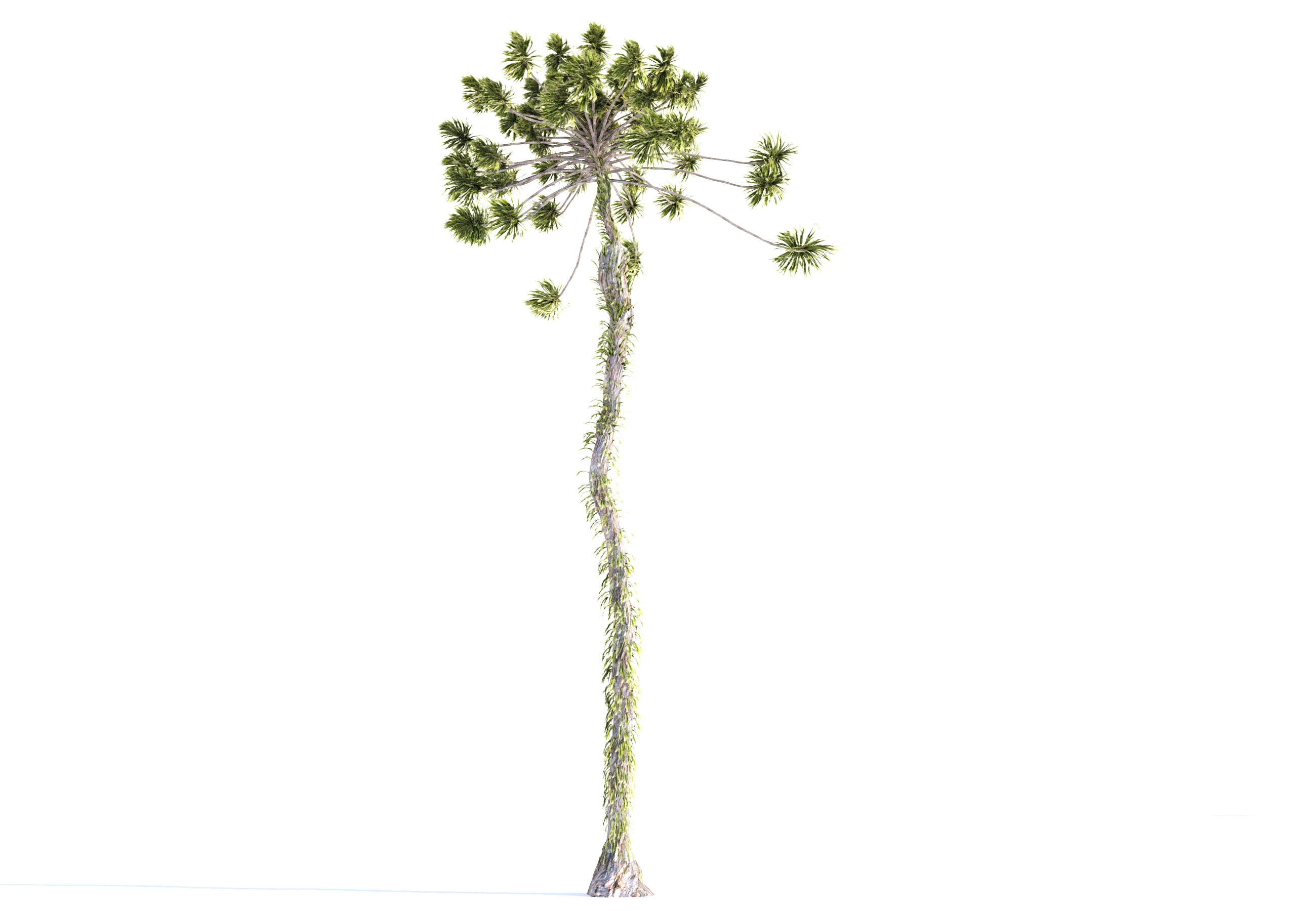 Jurassic Trees Animated Pack 3D 모델 - TurboSquid 1677785