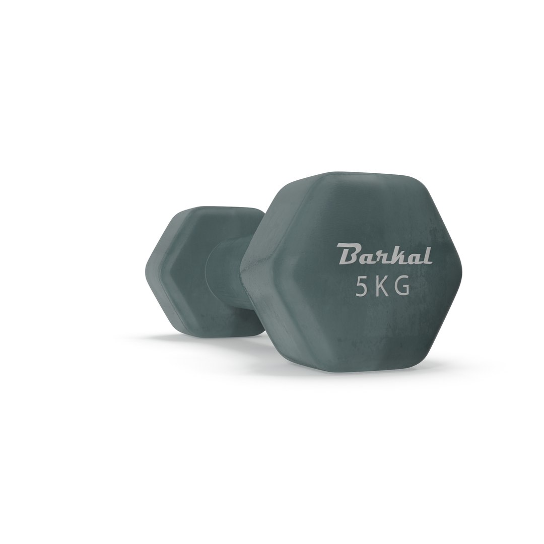 Dumbbell-5kg 3D model - TurboSquid 2097215