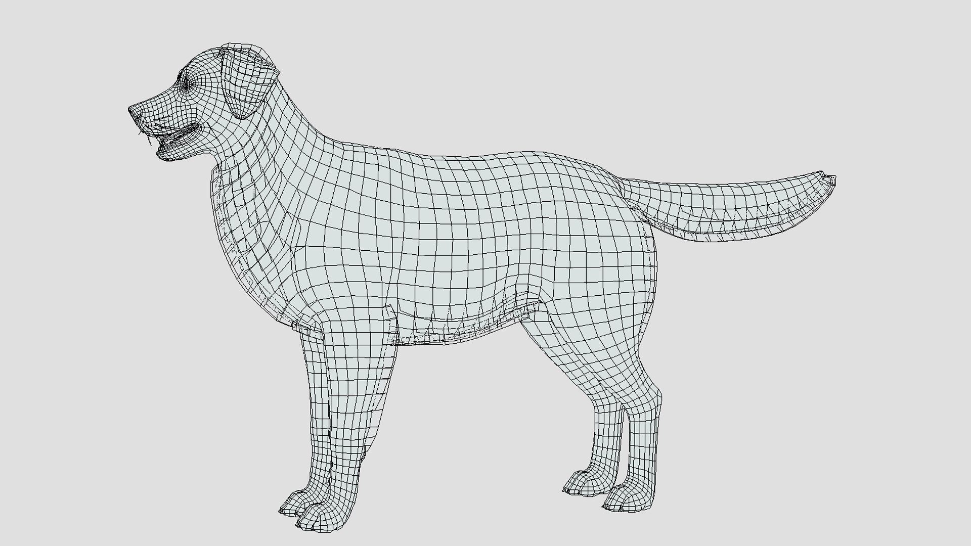 3D Model Dog - Golden Retriever - TurboSquid 1936807