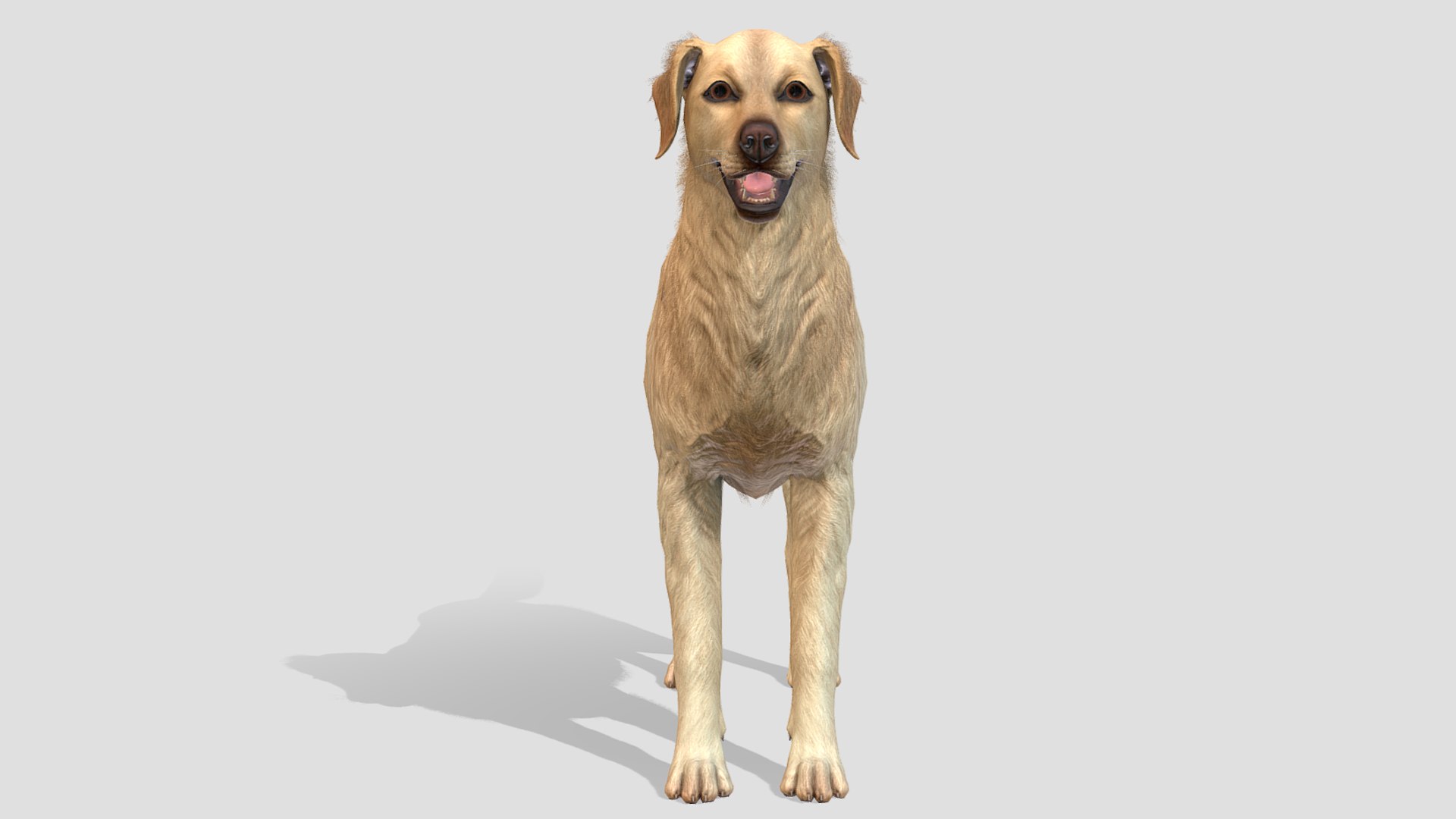 3D Model Dog - Golden Retriever - TurboSquid 1936807