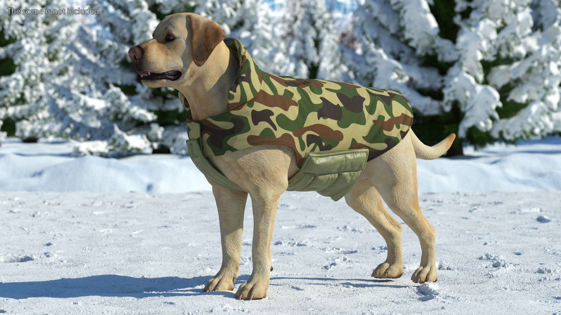 Labrador Wearing Camouflage Coat Model - TurboSquid 2040980