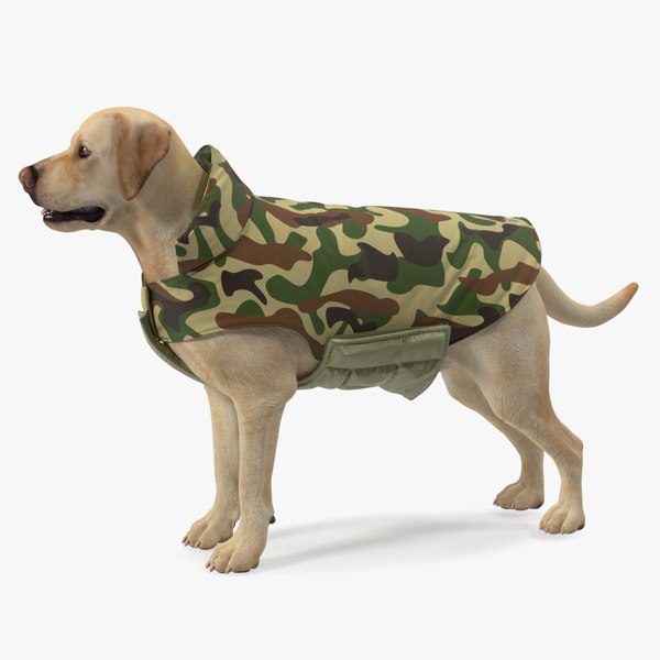 Labrador Wearing Camouflage Coat model - TurboSquid 2040980