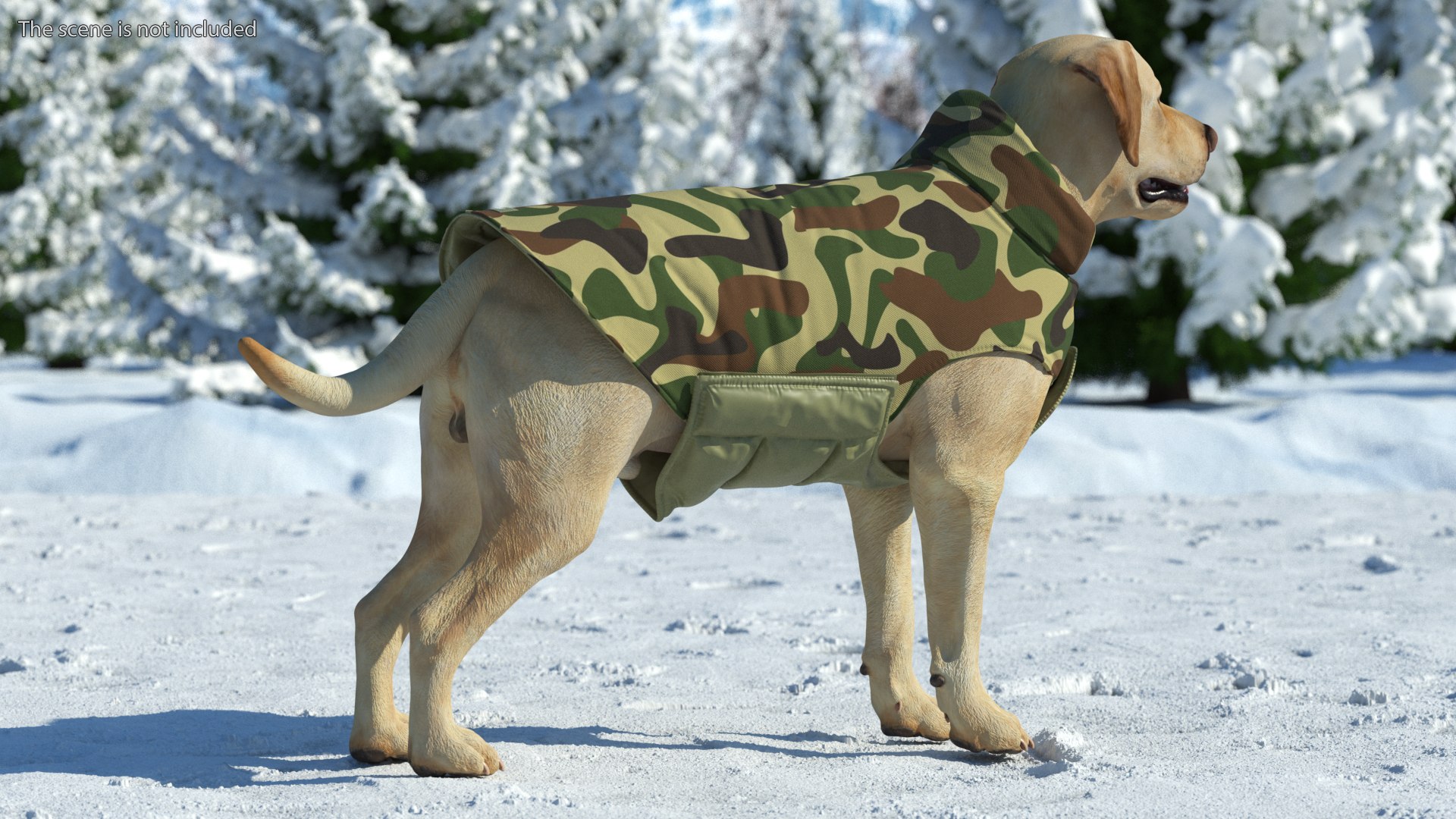 Labrador Wearing Camouflage Coat Model - TurboSquid 2040980